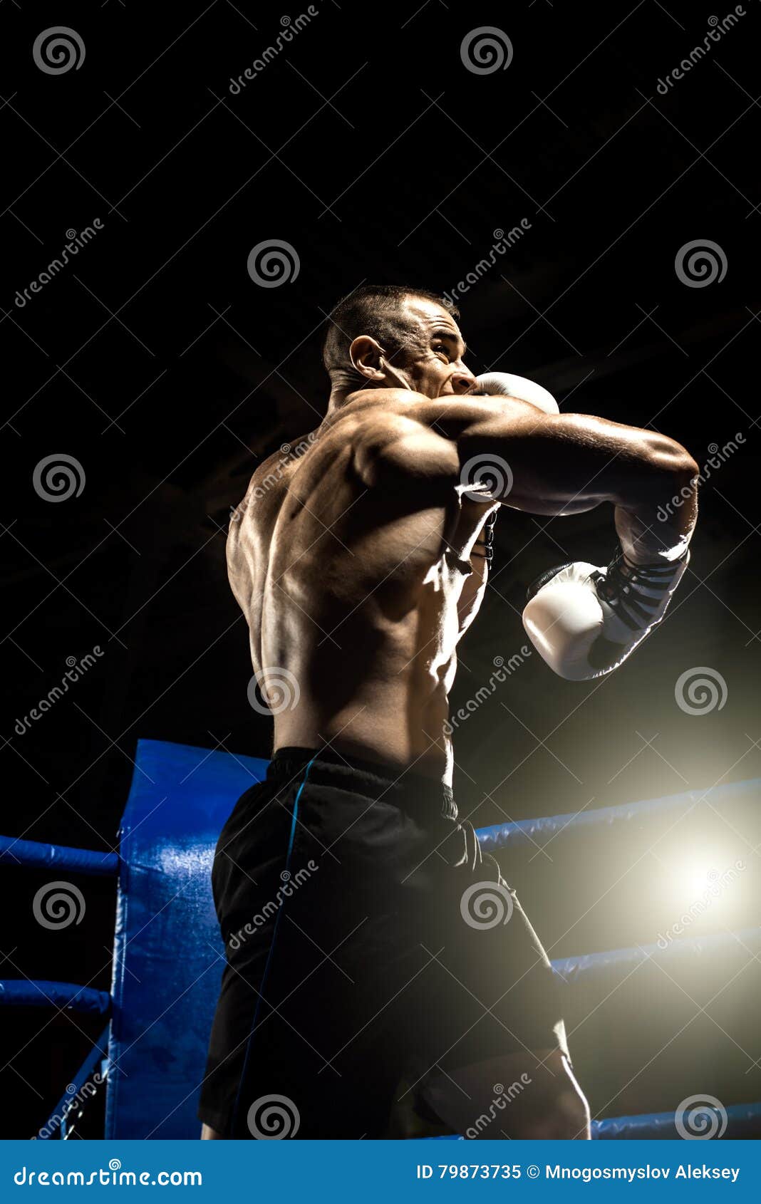 Punching Boxer on Boxing Ring Stock Image - Image of dark, people: 79873735