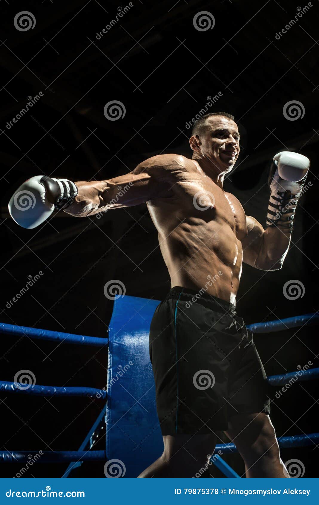 Punching Boxer On Boxing Ring Stock Photography | CartoonDealer.com ...