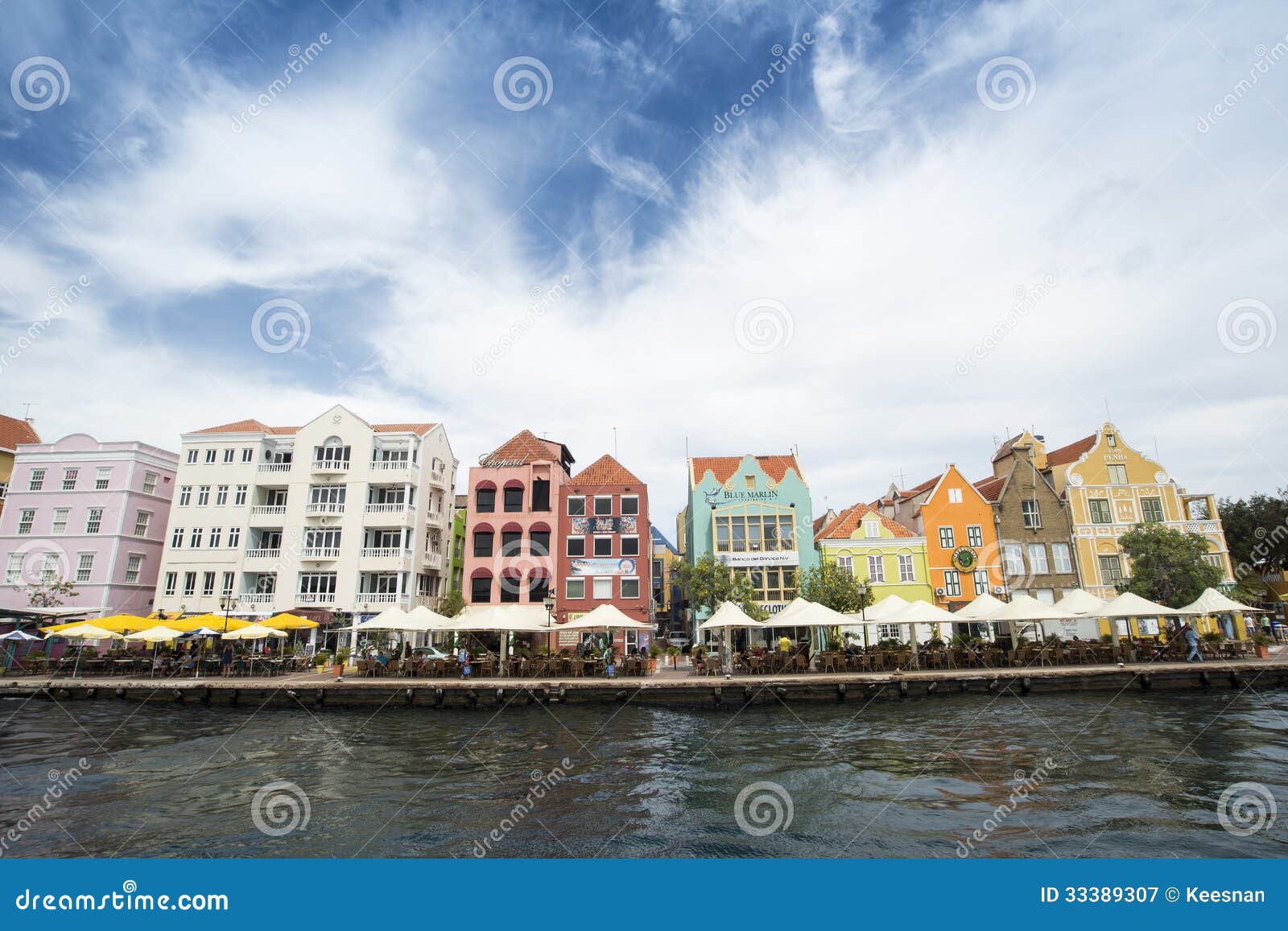 Punda - JungleKey.be Afbeelding