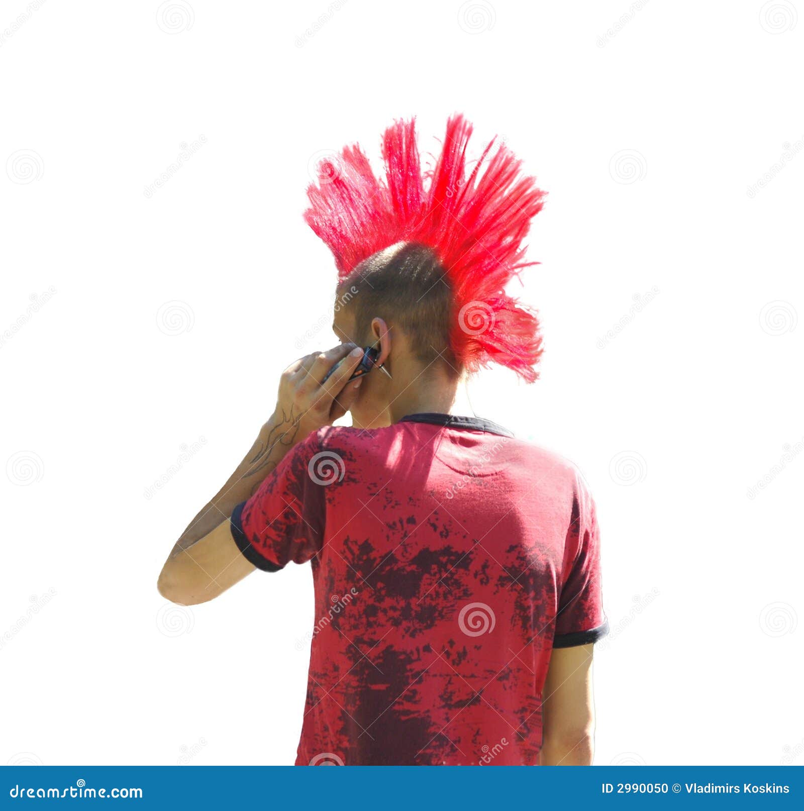 Punk stock photo. Image of fashion, isolated, hairdress - 2990050