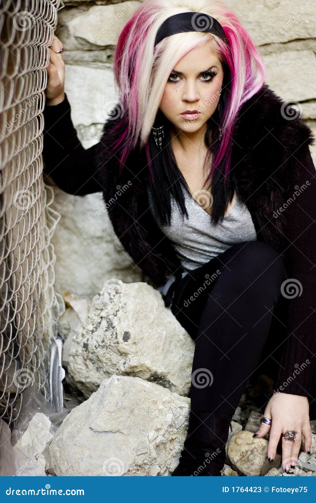 Punk Fashion Model stock image. Image of fashion, goth - 1764423