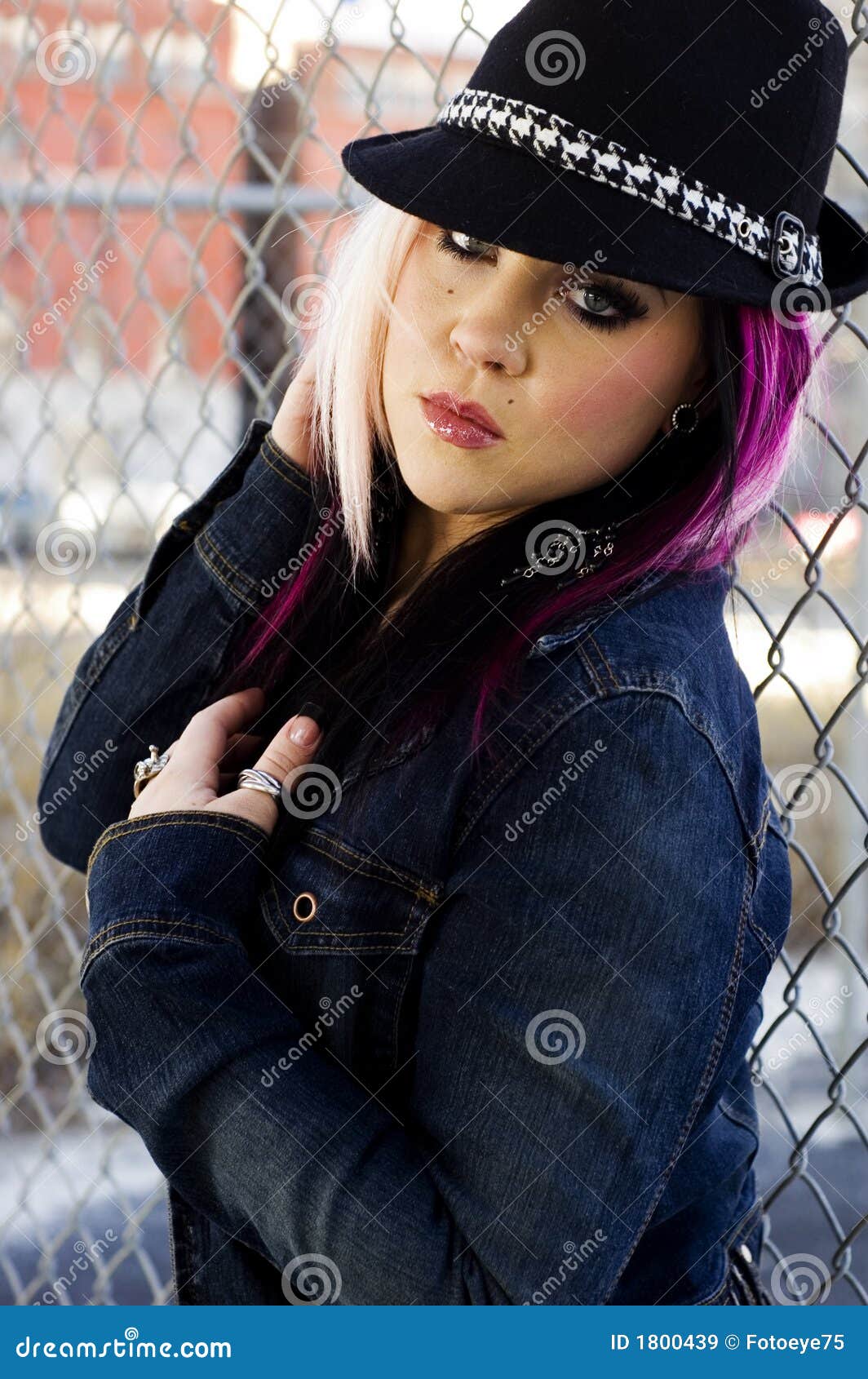 Punk Fashion Model stock image. Image of beauty, punk - 1800439