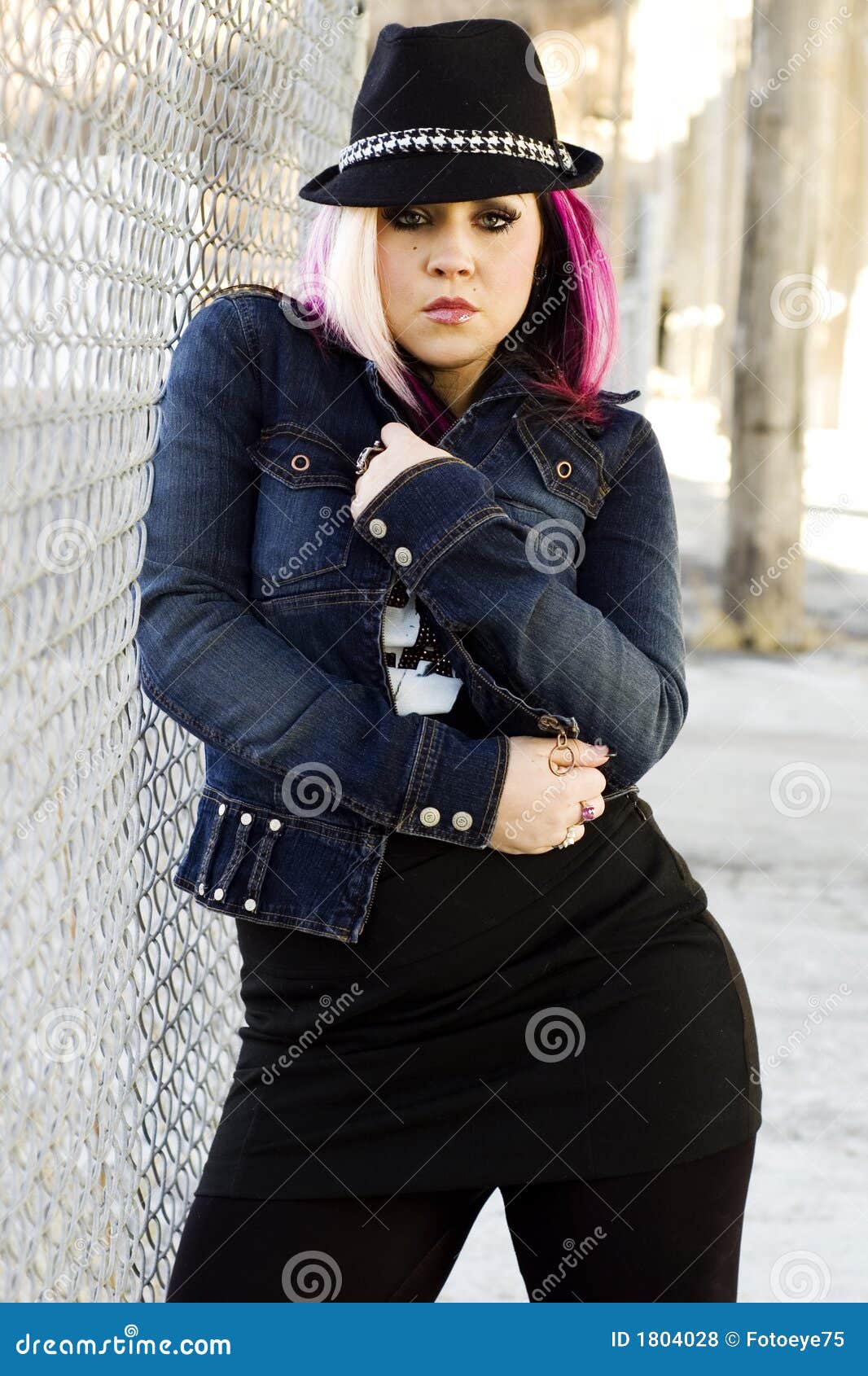 Punk Fashion Model stock photo. Image of chainlink, goth - 1804028
