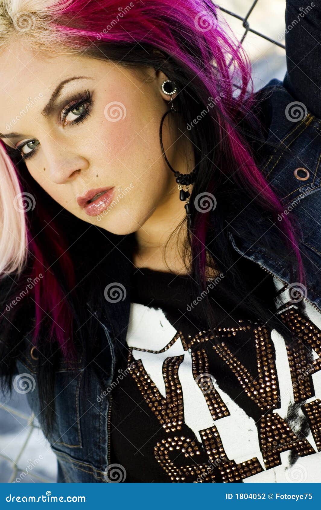 Punk Fashion Model stock photo. Image of fashion, people - 1804052