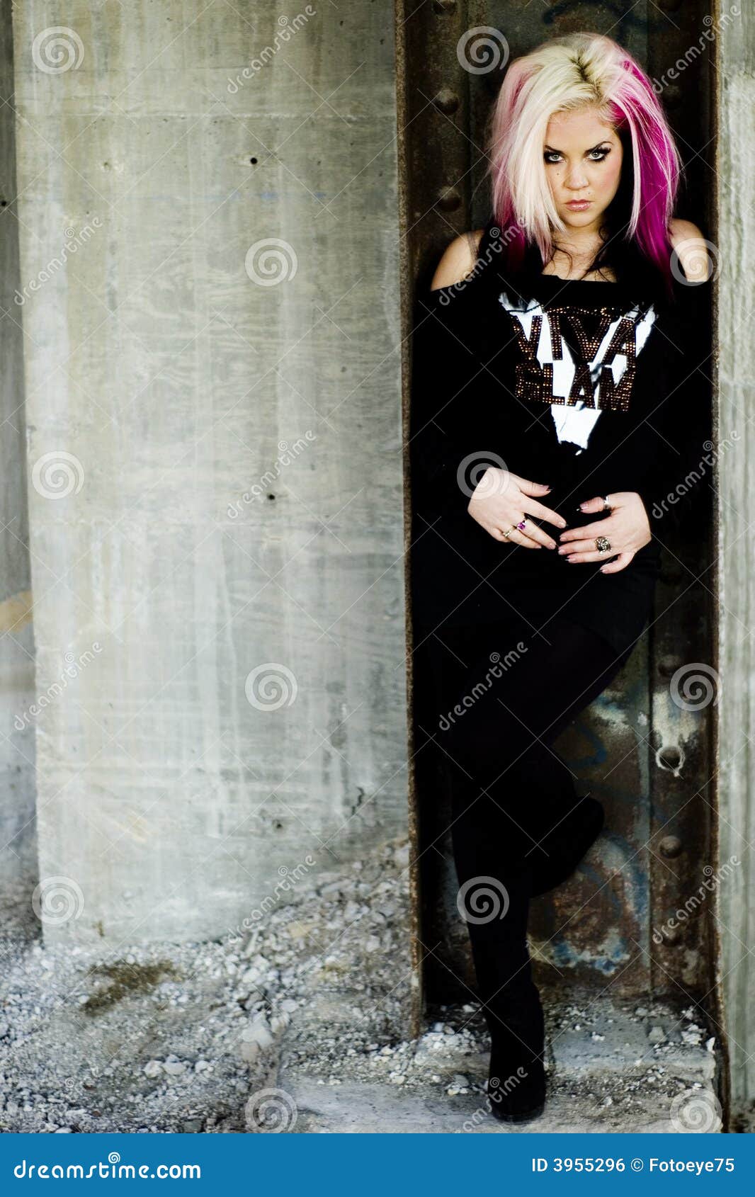 Punk Fashion Model stock photo. Image of portrait, expression - 3955296