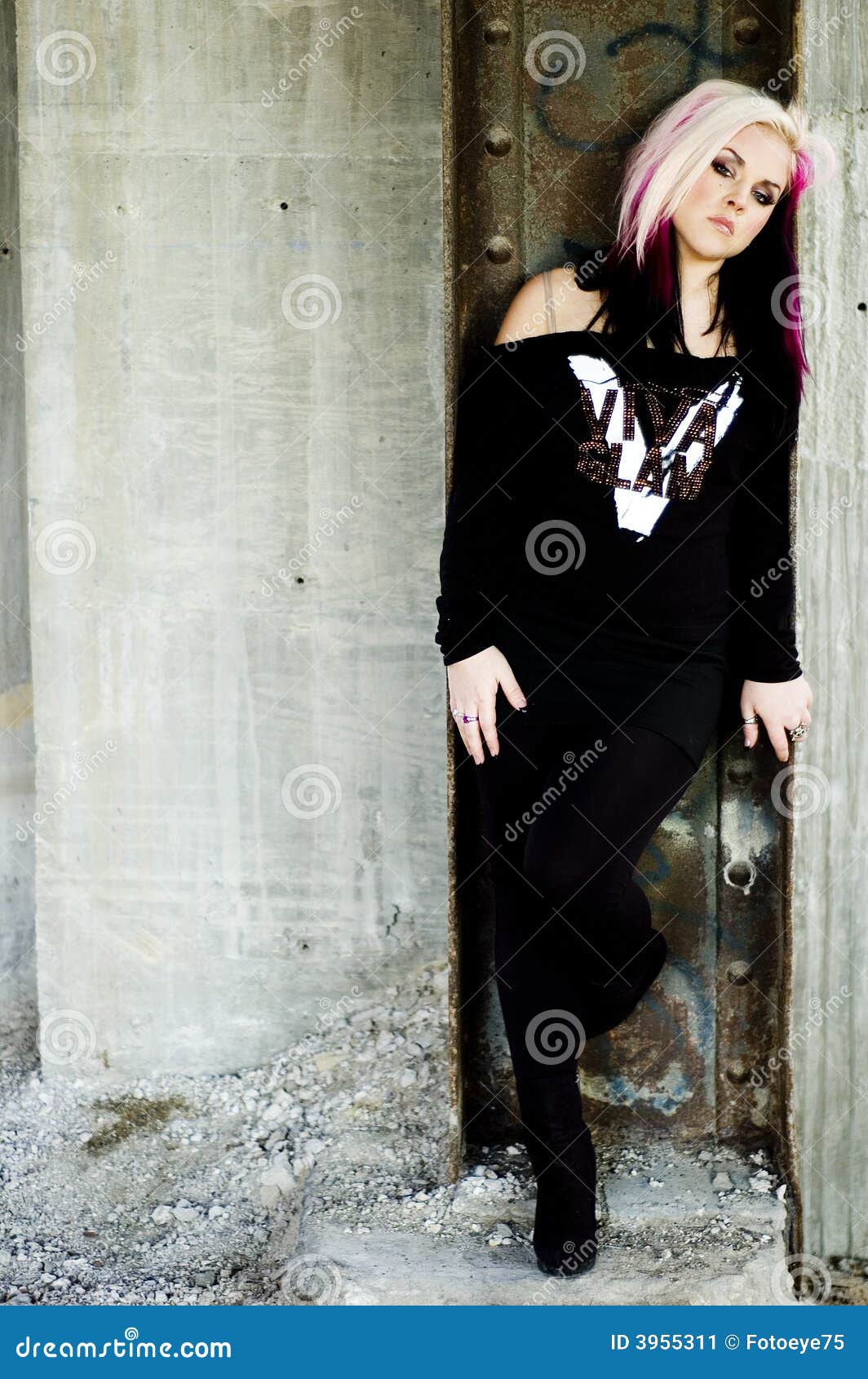 Punk Fashion Model stock image. Image of crazy, gothic - 3955311