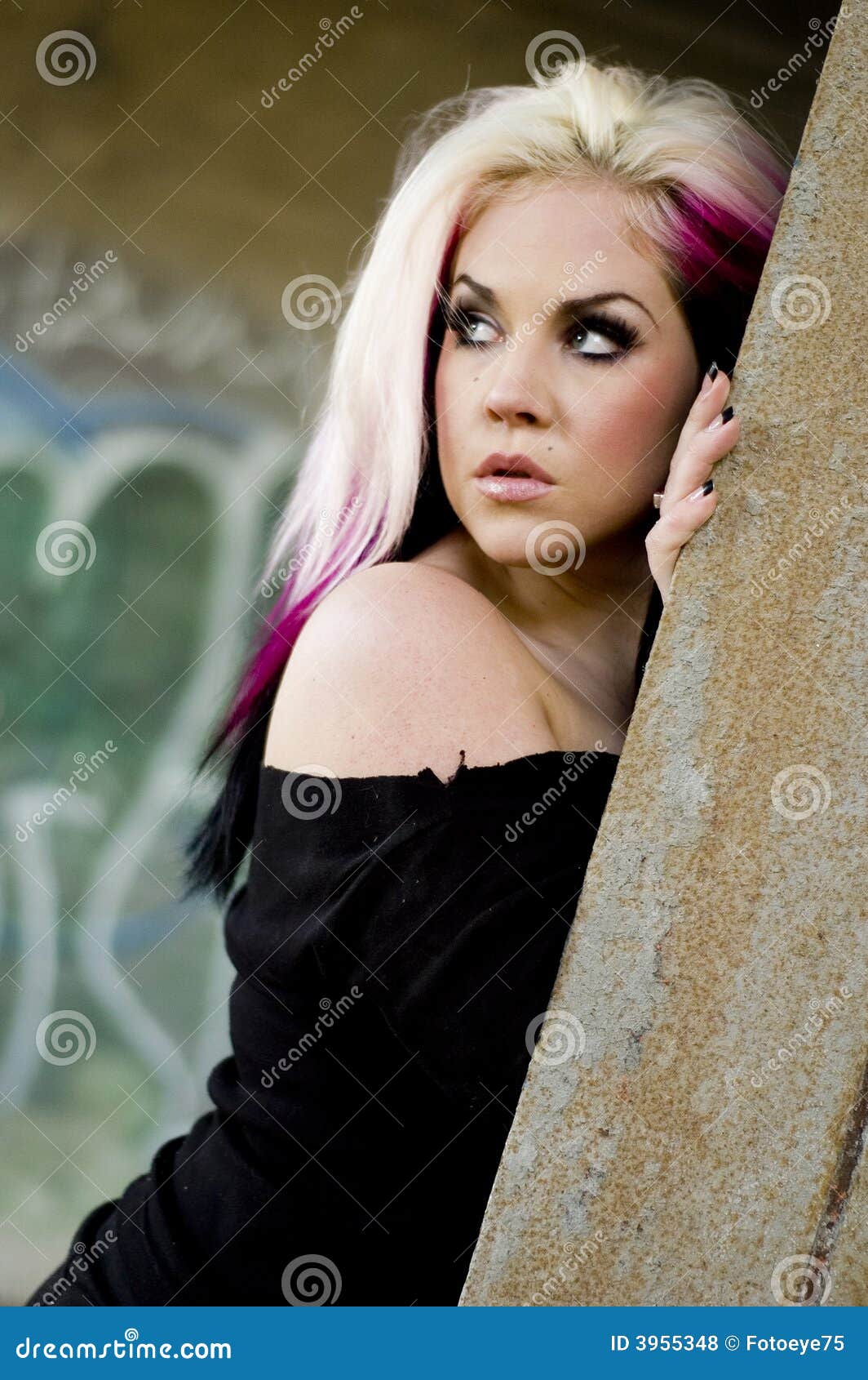 Punk Fashion Model stock photo. Image of woman, crazy - 3955348
