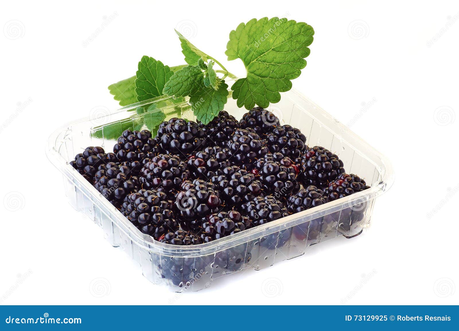 Punnet of Blackberries with Mint Branch on White Stock Image - Image of ...