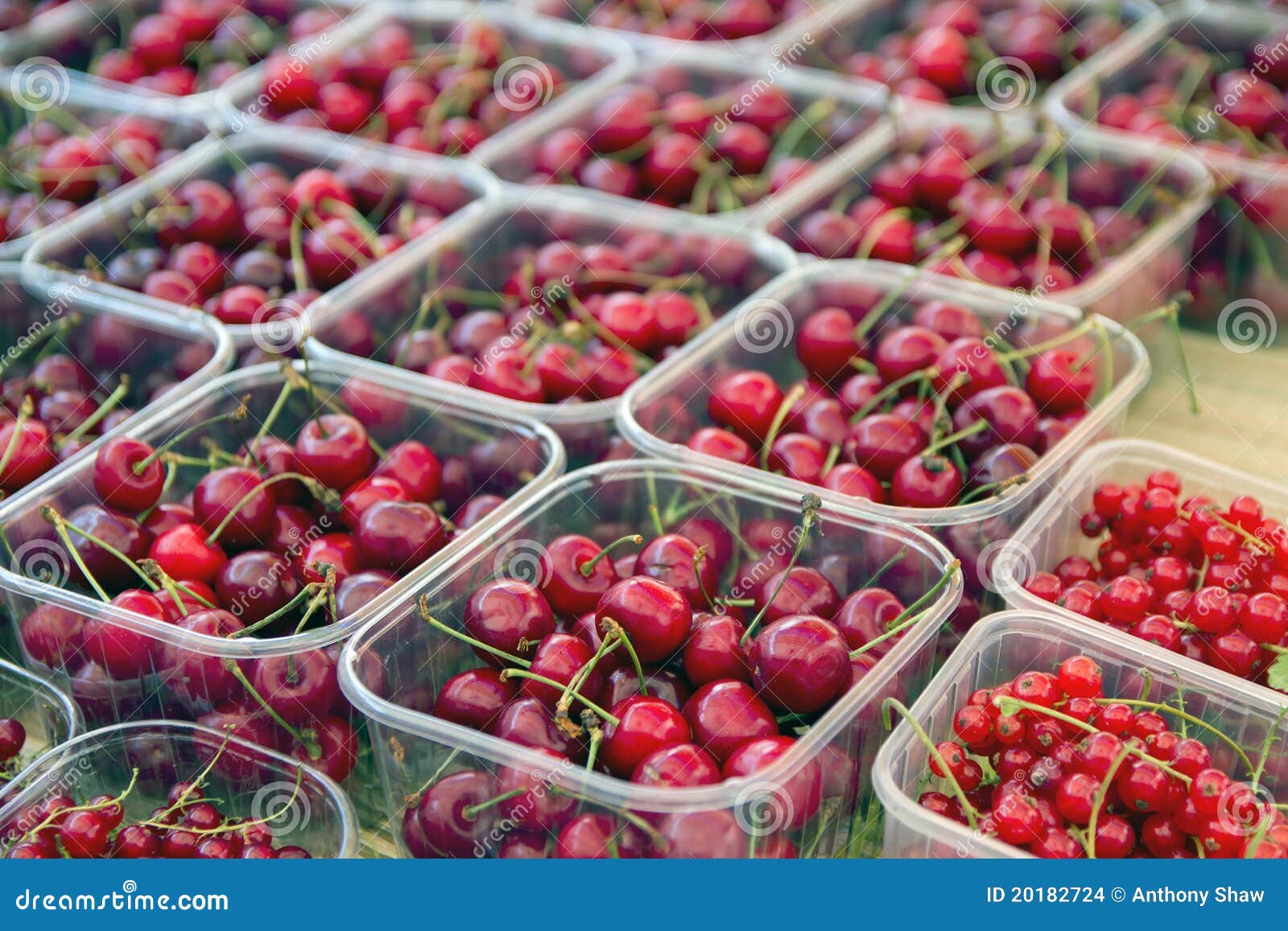 Punnet of cherries stock photo. Image of food, juicy - 20182724