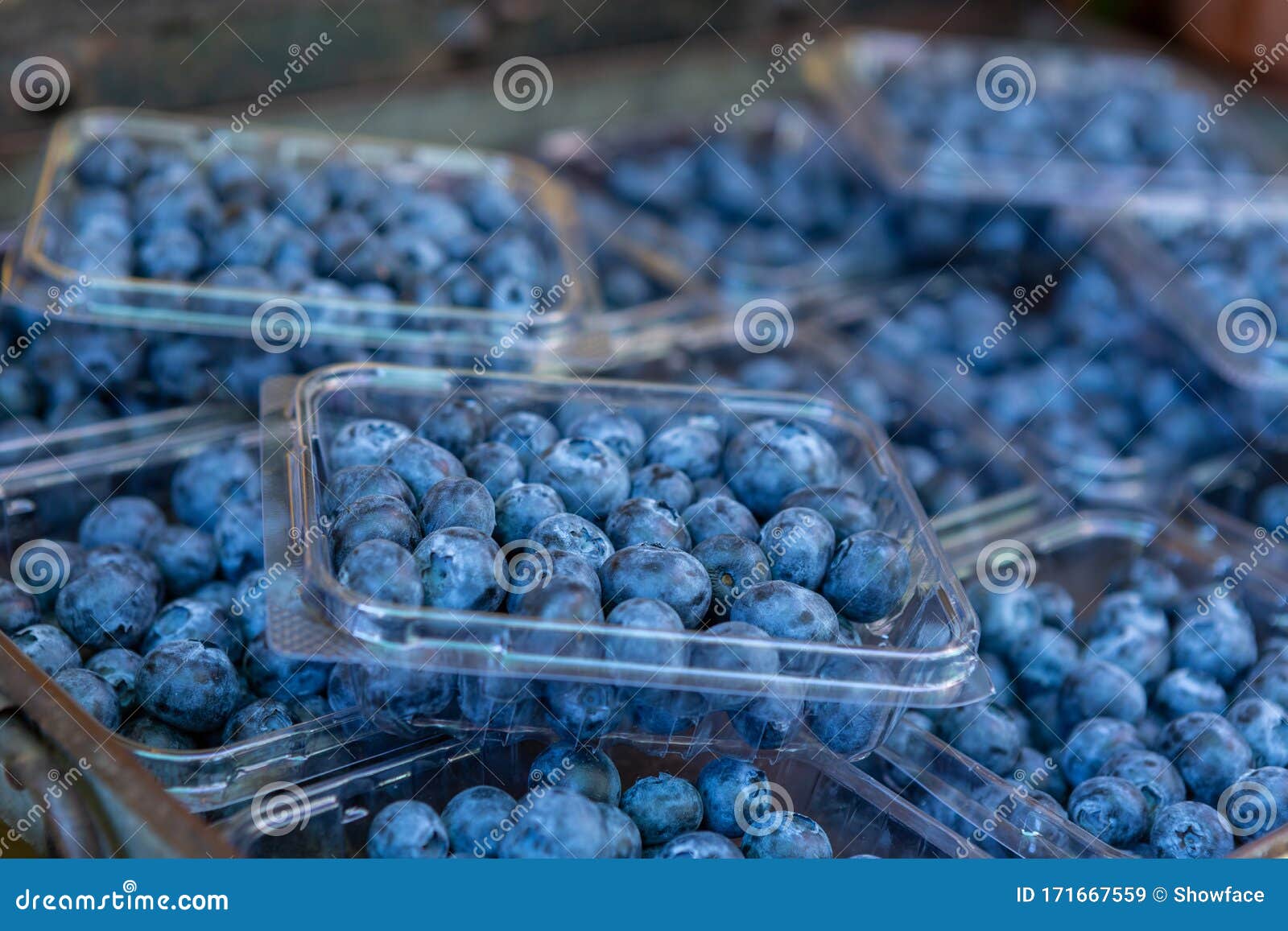Punnets of Fresh Blueberries Stock Image - Image of focus, punnet ...