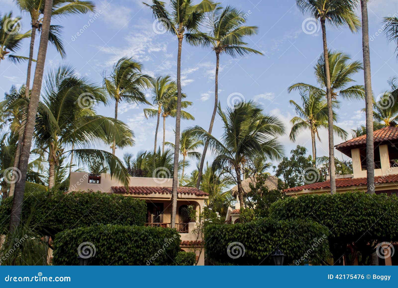 Punta Cana, Dominican Republic Stock Photo - Image of scenery, punta ...