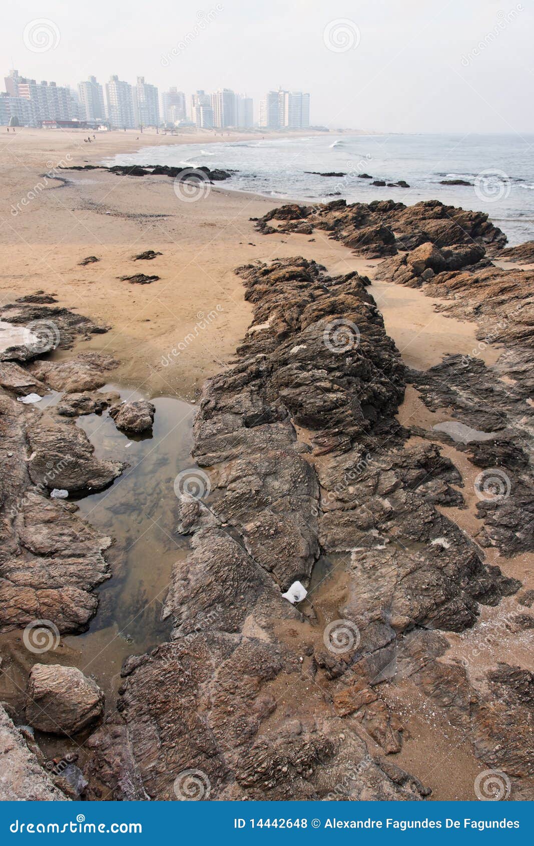 Punta Del Este Beach Uruguay Stock Photo - Image of america, sand: 14442648