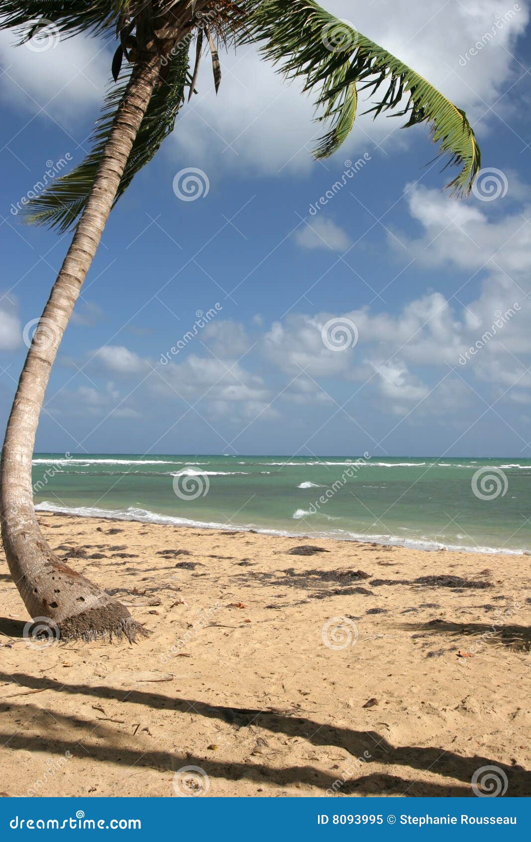Punta Popy, Las Terrenas, Dominican Republic Stock Image - Image of ...