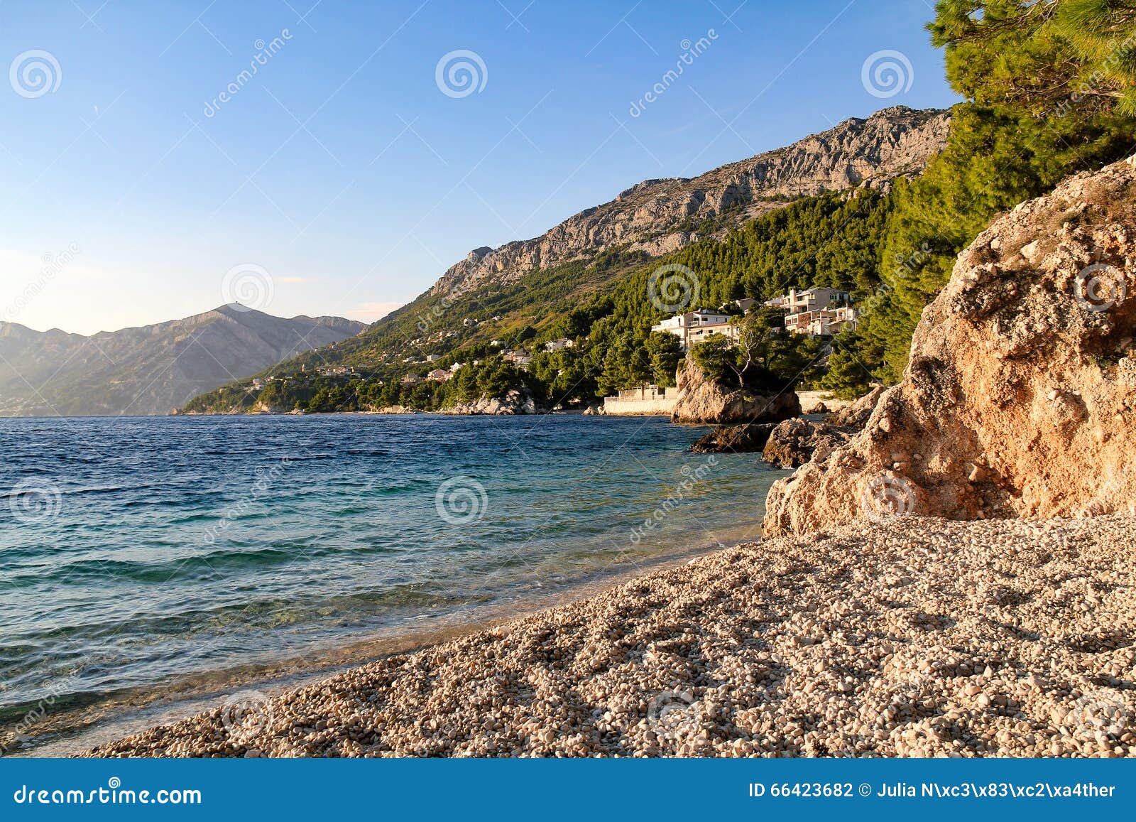 Punta rata beach stock photo. Image of adriatic, dalmatia - 66423682