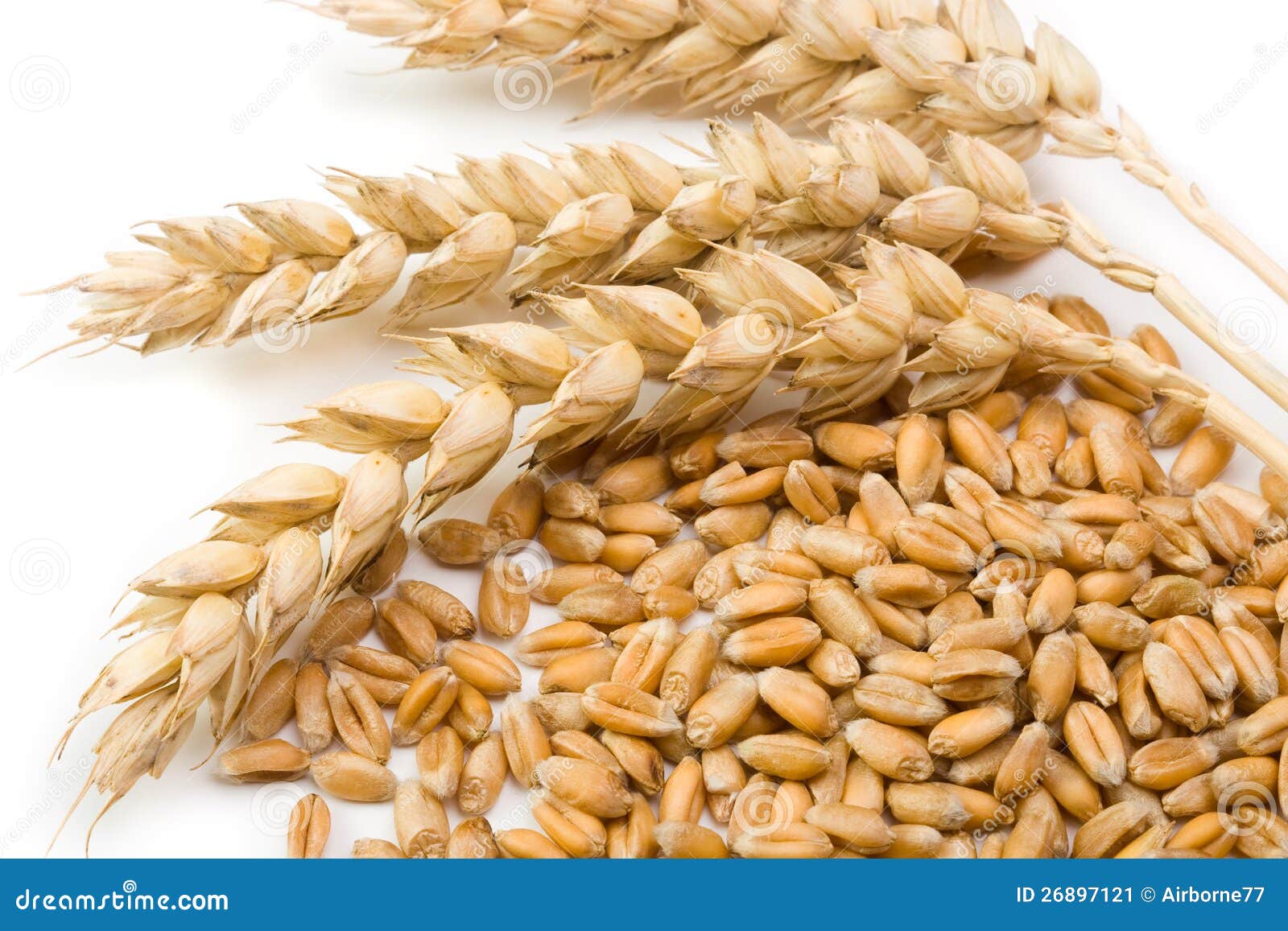 Punto Del Frumento E Del Cereale Immagine Stock - Immagine di orecchio ...