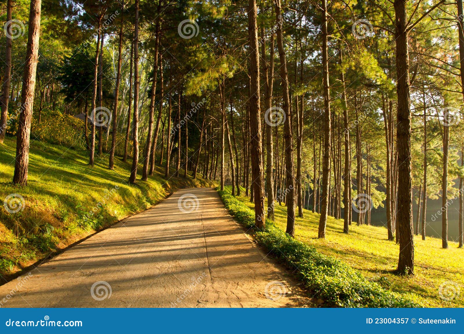 Punzada-Oung imagen de archivo. Imagen de viajero, recorrido - 23004357