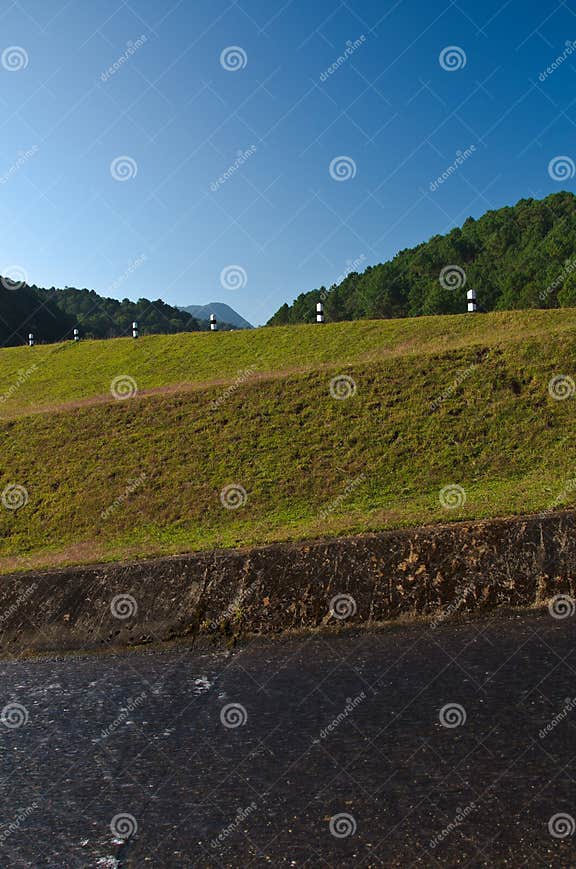 Punzada-Oung foto de archivo. Imagen de bosque, fauna - 23004956