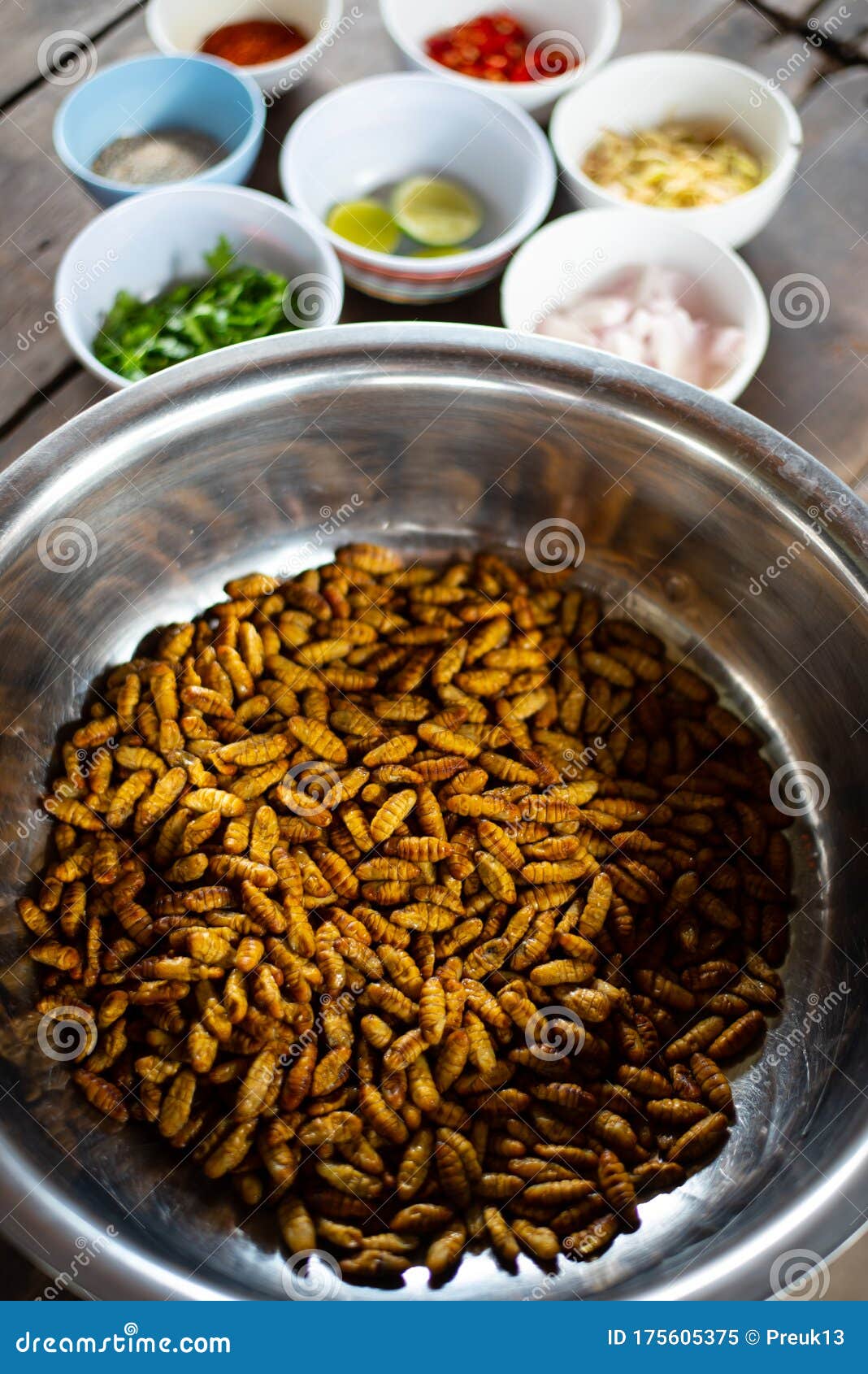 Pupa imagen de archivo. Imagen de bocado, insecto, delicioso - 175605375