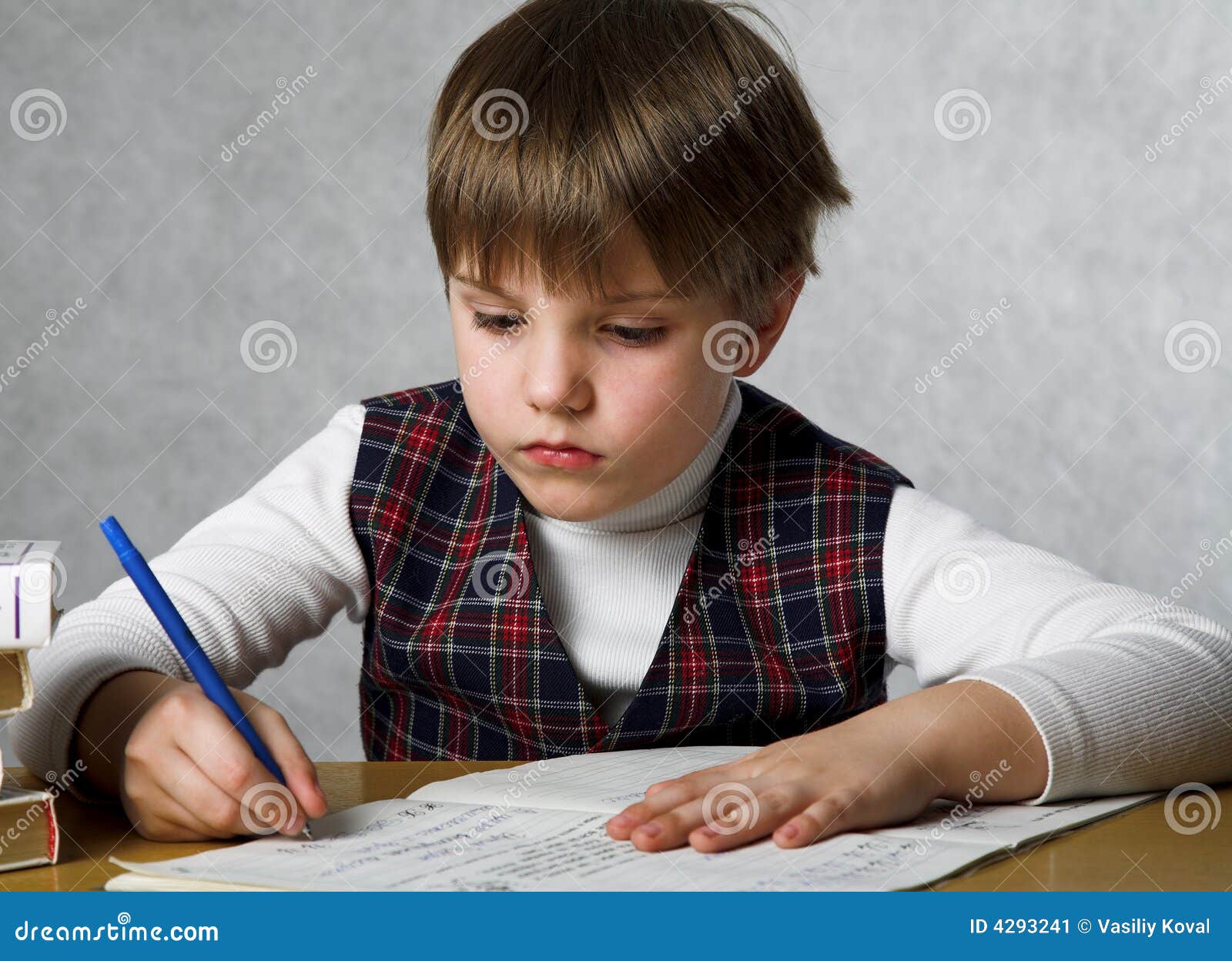 Pupil stock image. Image of book, head, success, smile - 4293241