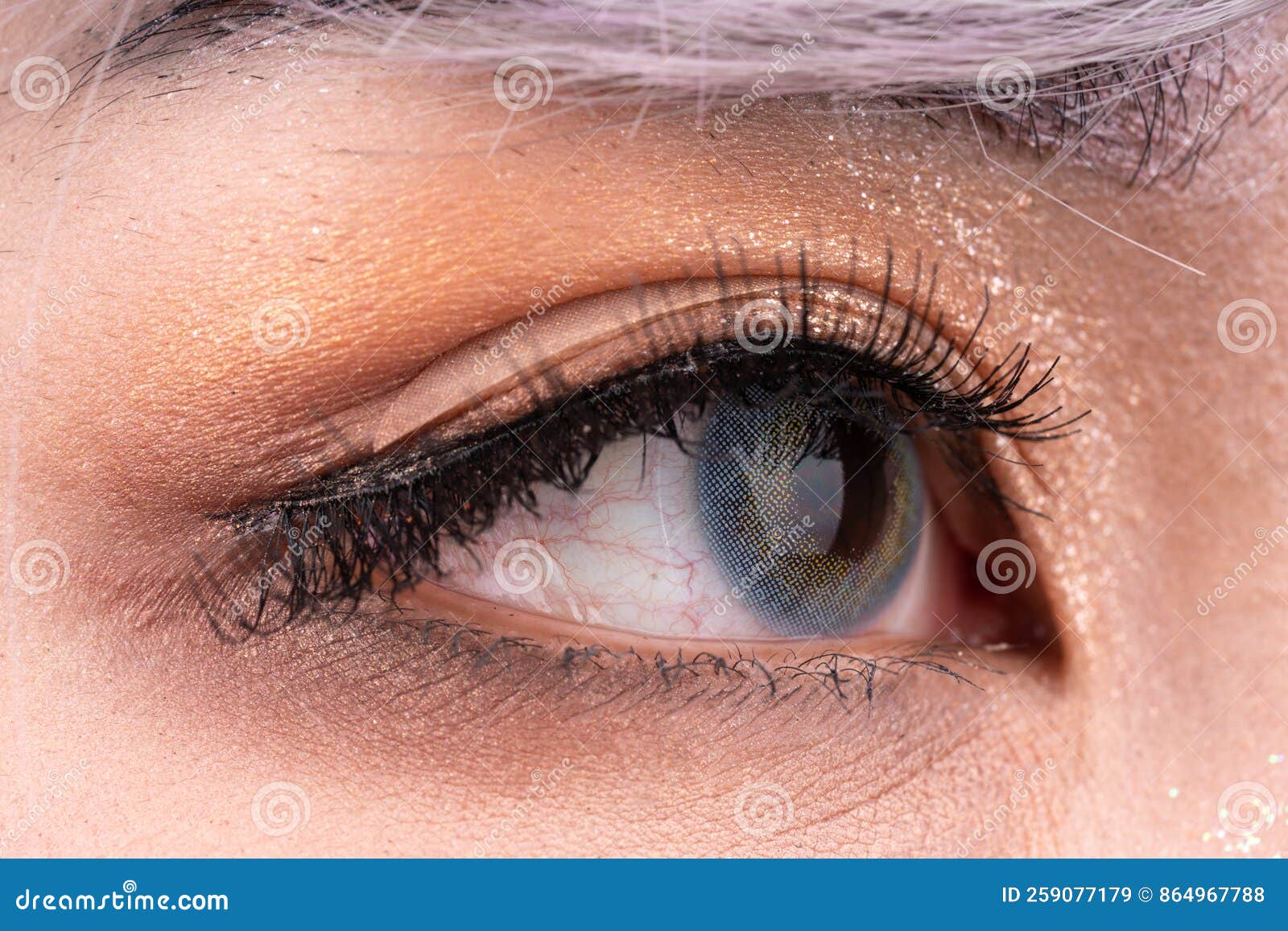 Eyes with eye makeup on stock image. Image of dressing - 259077179