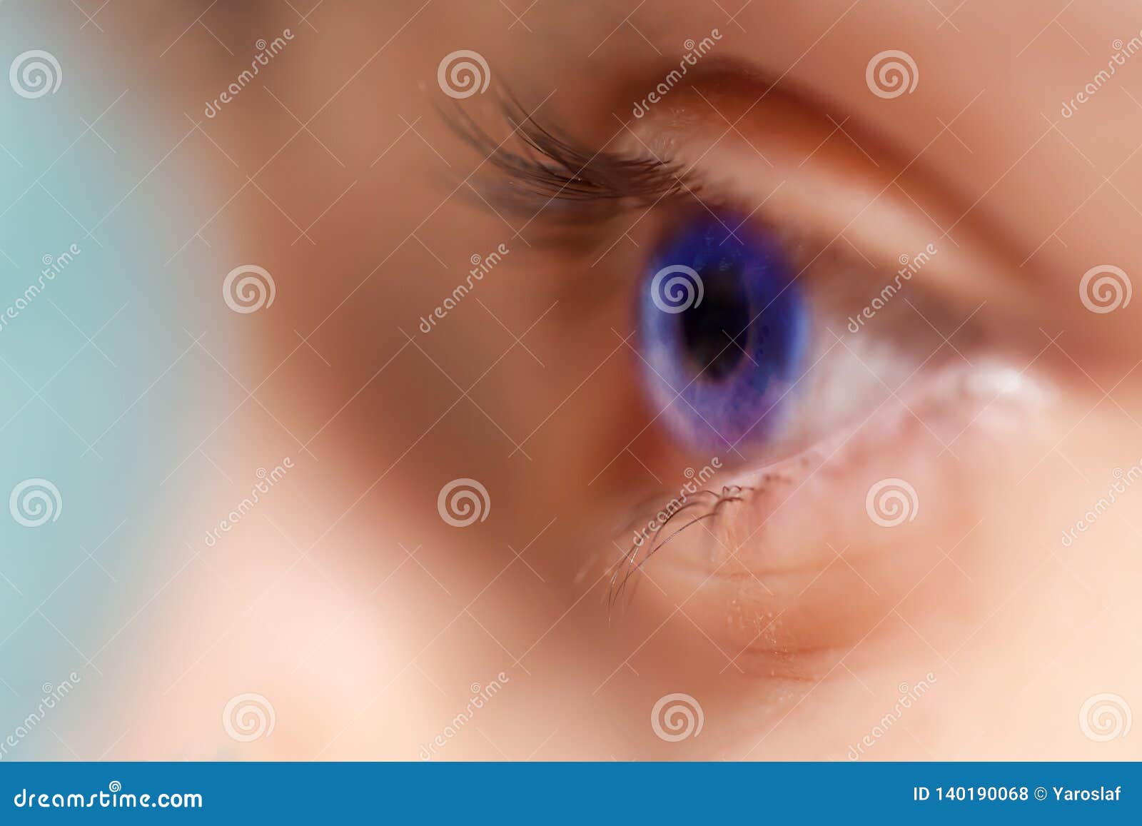 The Pupil of a Large Blue Eye Stock Photo - Image of contact, looking ...