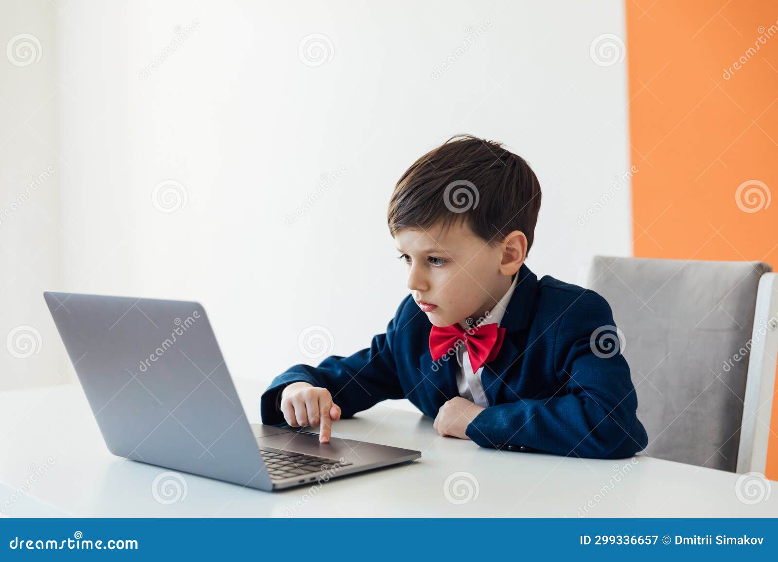 Pupil Lessons Education Boy Schoolboy Learns at the Computer Online ...
