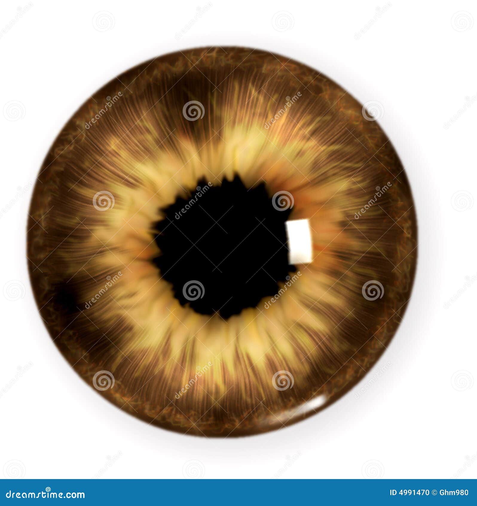 Pupilla del Brown illustrazione di stock. Illustrazione di cornea - 4991470