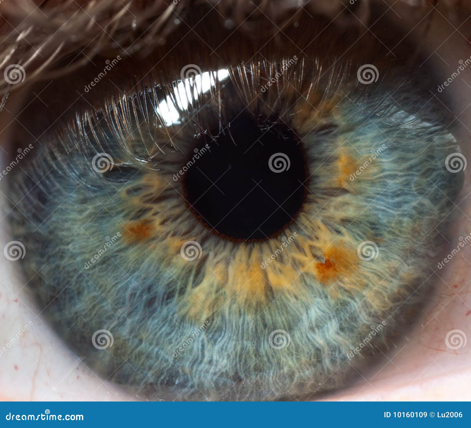 Pupille Des Menschlichen Auges Stockbild - Bild von augapfel, bedingung ...