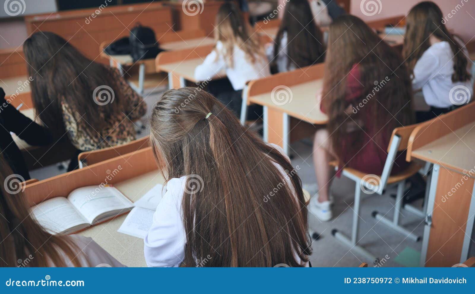 Pupils of the 11th Grade in the Class at the Desks during the Lesson ...
