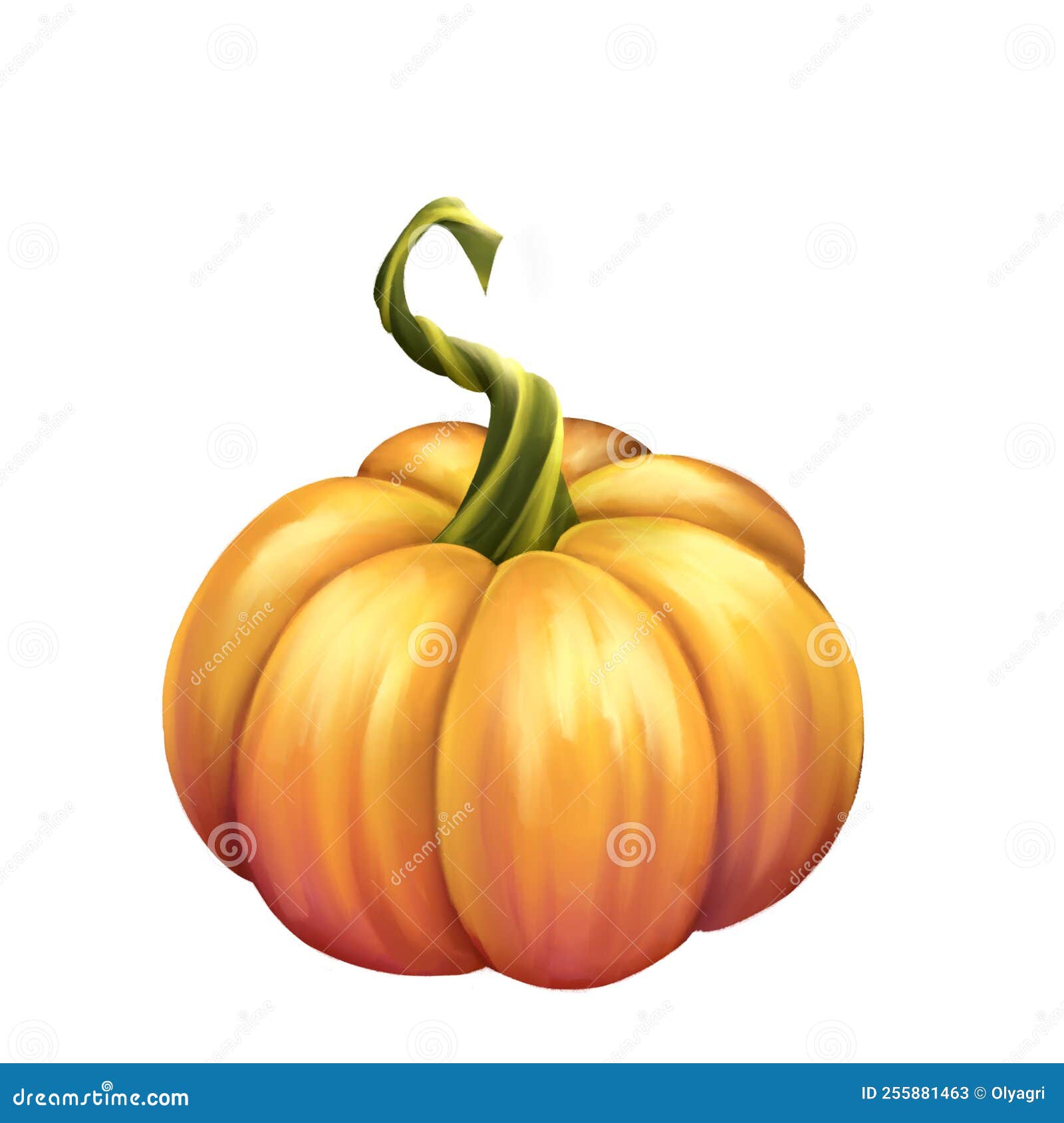 Pumpkin. Illustration Isolated on White. Stock Image - Image of ...