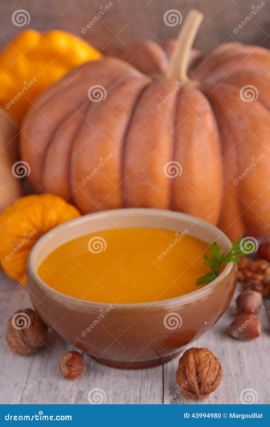 Pupkin soup stock photo. Image of close, meal, autumn - 43994980