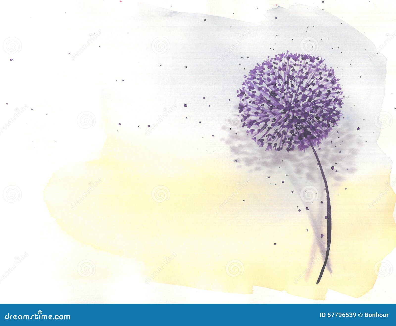 Puple dandelion stock illustration. Illustration of dandelion - 57796539