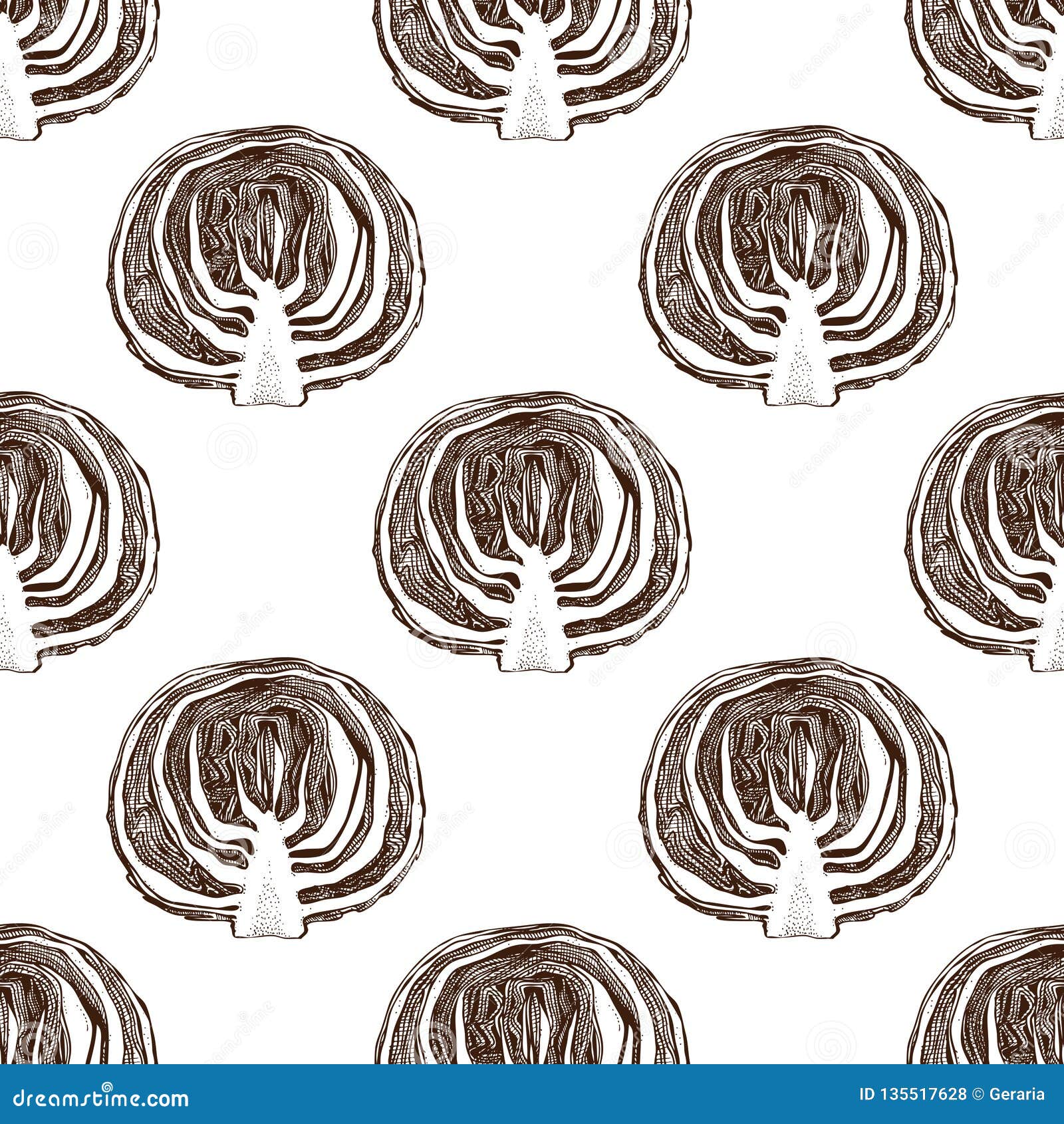 Hand Drawn Red Purple Cabbage with Leaves and Head. Vintage Vegetables ...