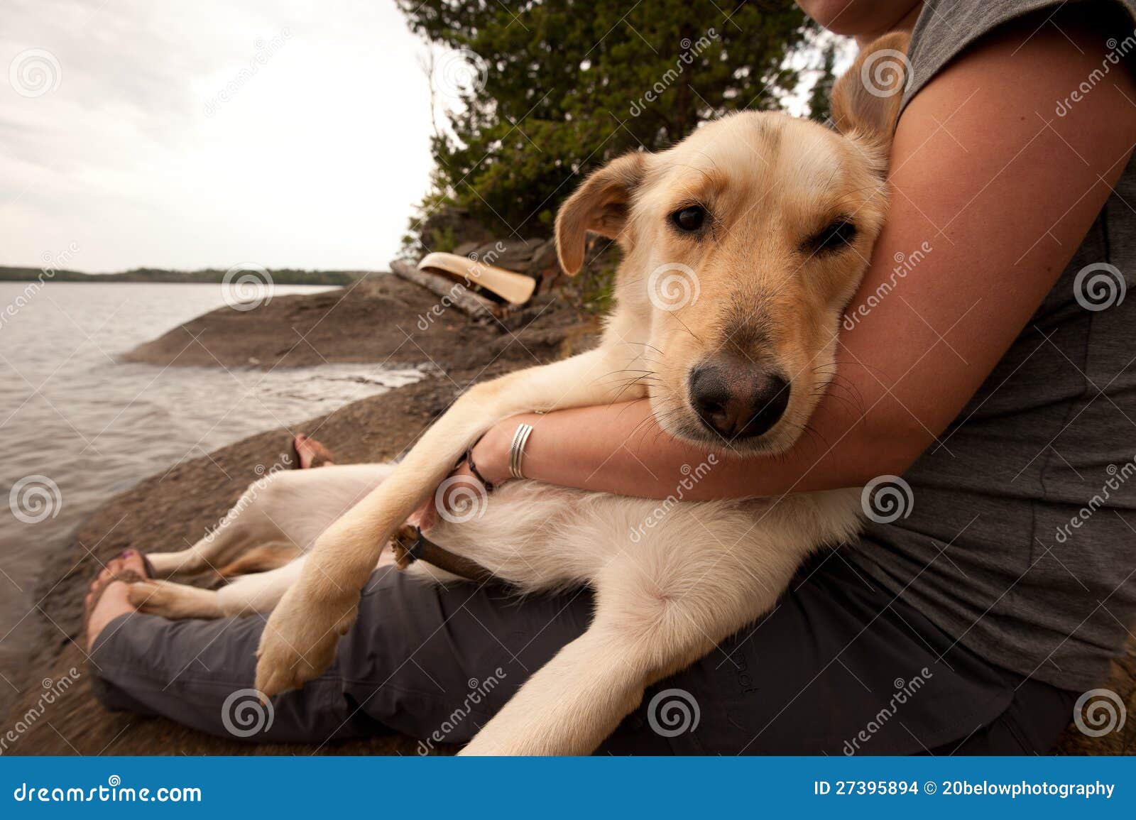Puppy cuddle stock photo. Image of holding, lake, cuddling - 27395894
