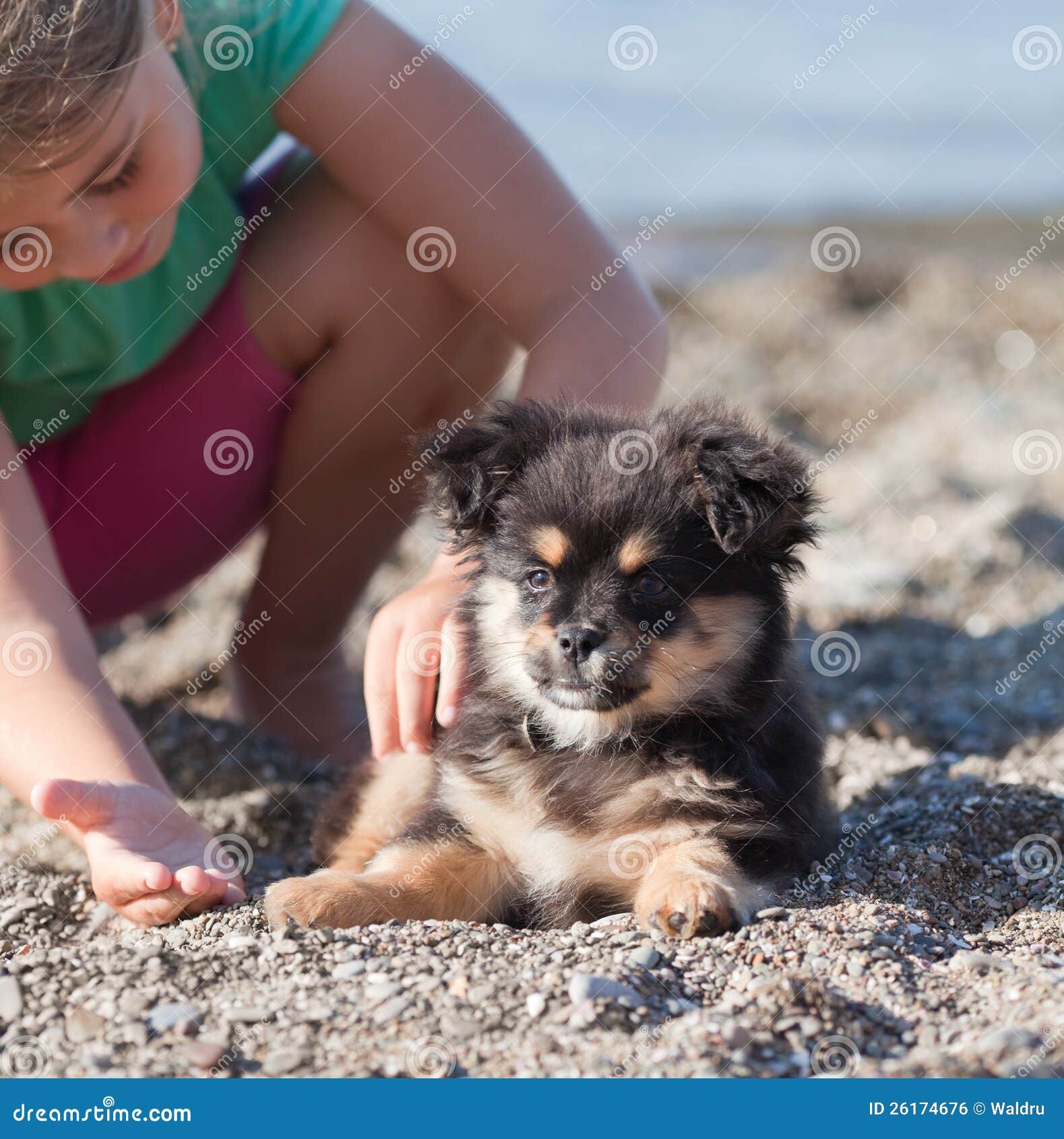 Puppy and girl stock photo. Image of leisure, downy, beautiful - 26174676