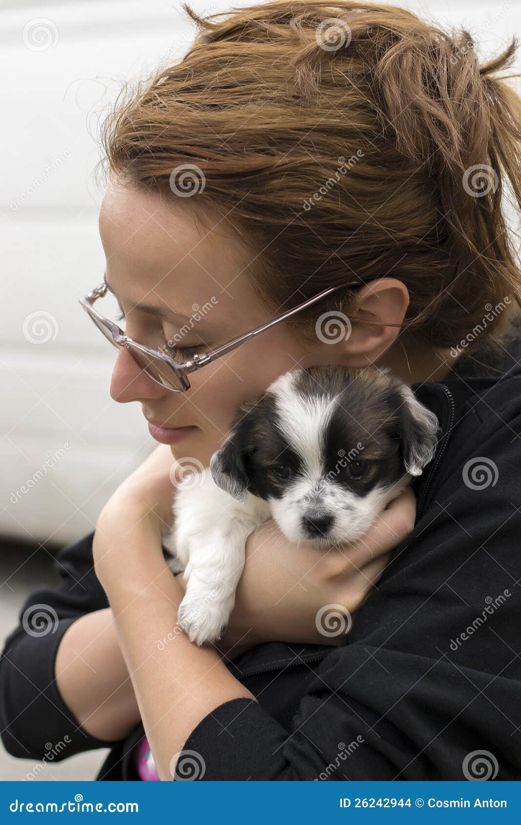 Puppy Love stock photo. Image of beauty, lovely, beautiful - 26242944