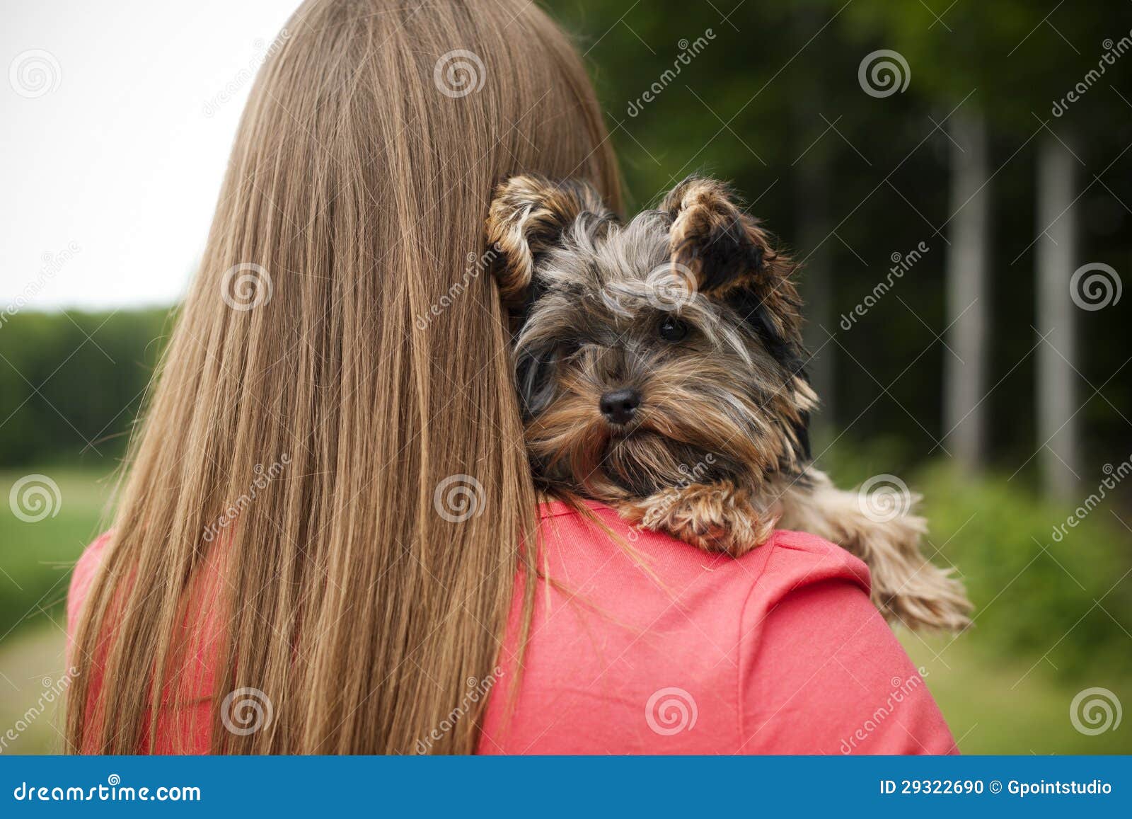 Puppy love stock photo. Image of person, animal, human - 29322690