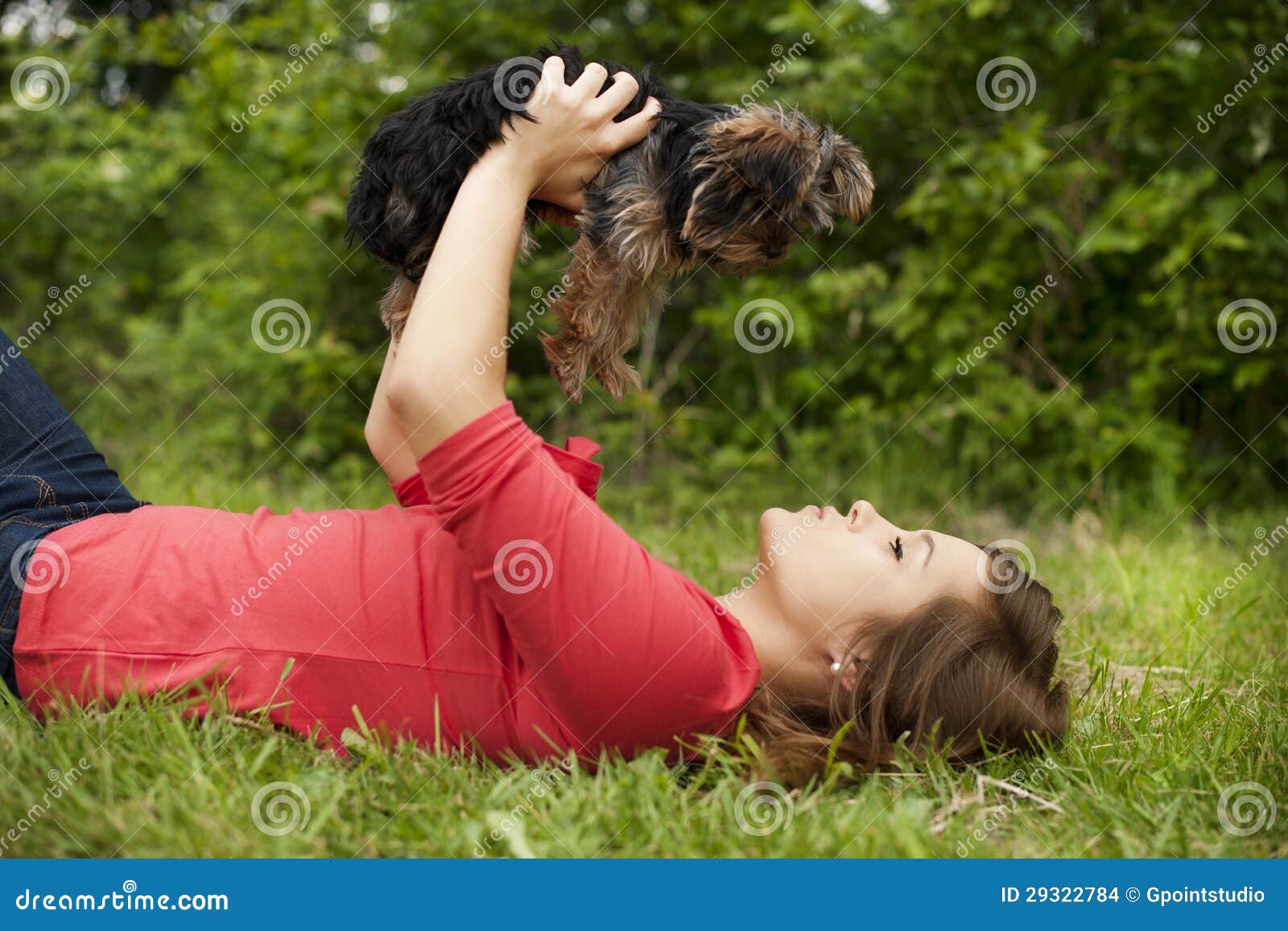 Puppy love stock photo. Image of portrait, cute, animals - 29322784