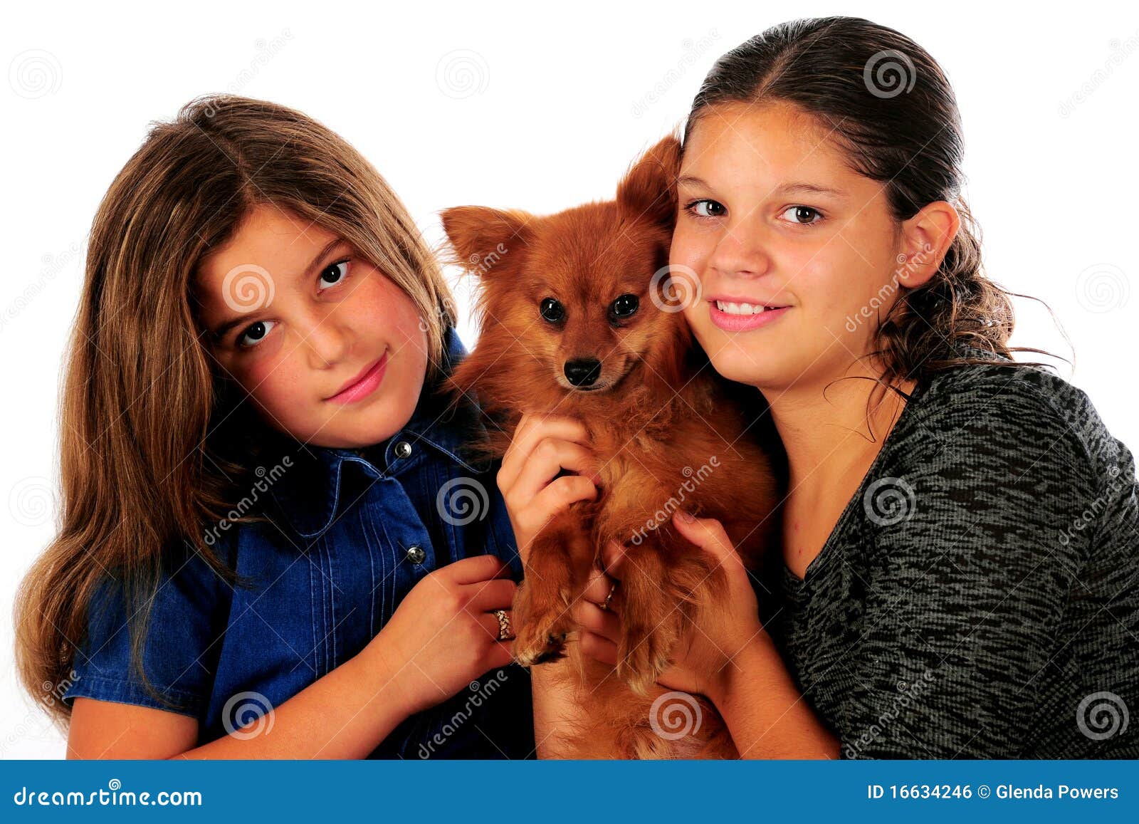 Puppy Lovers stock photo. Image of pomeranian, teenager - 16634246