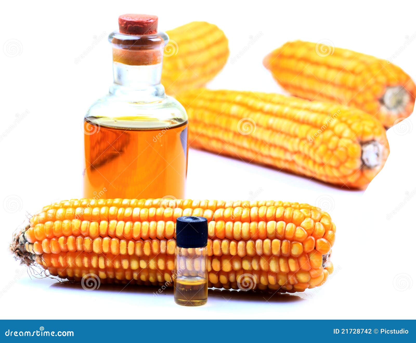 Pure bio fuel stock photo. Image of energy, seeds, fuel - 21728742