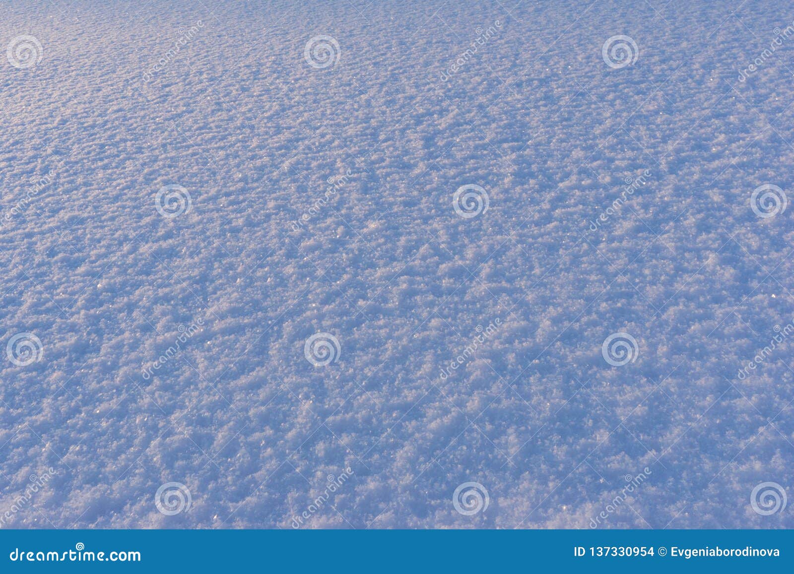 Pure Blue Snow Lying Flat on the Ground Stock Photo - Image of color ...