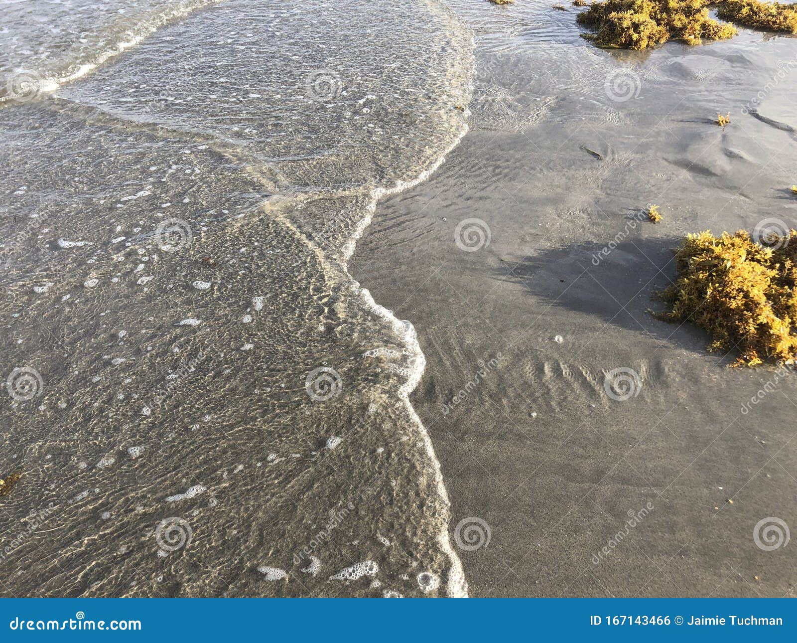 Shallow Water on the Shore of the Beach Stock Photo - Image of ...