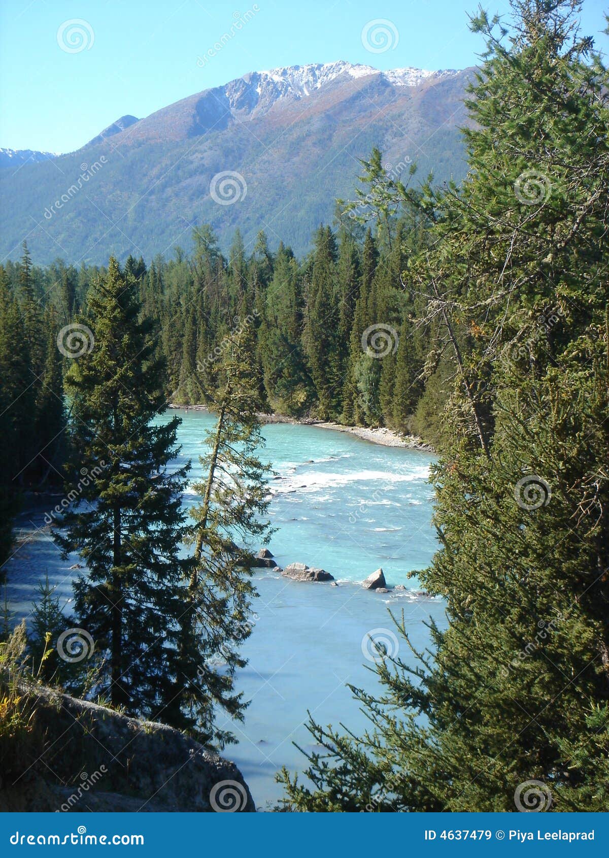 Pure clean river stock image. Image of nature, pure, river - 4637479