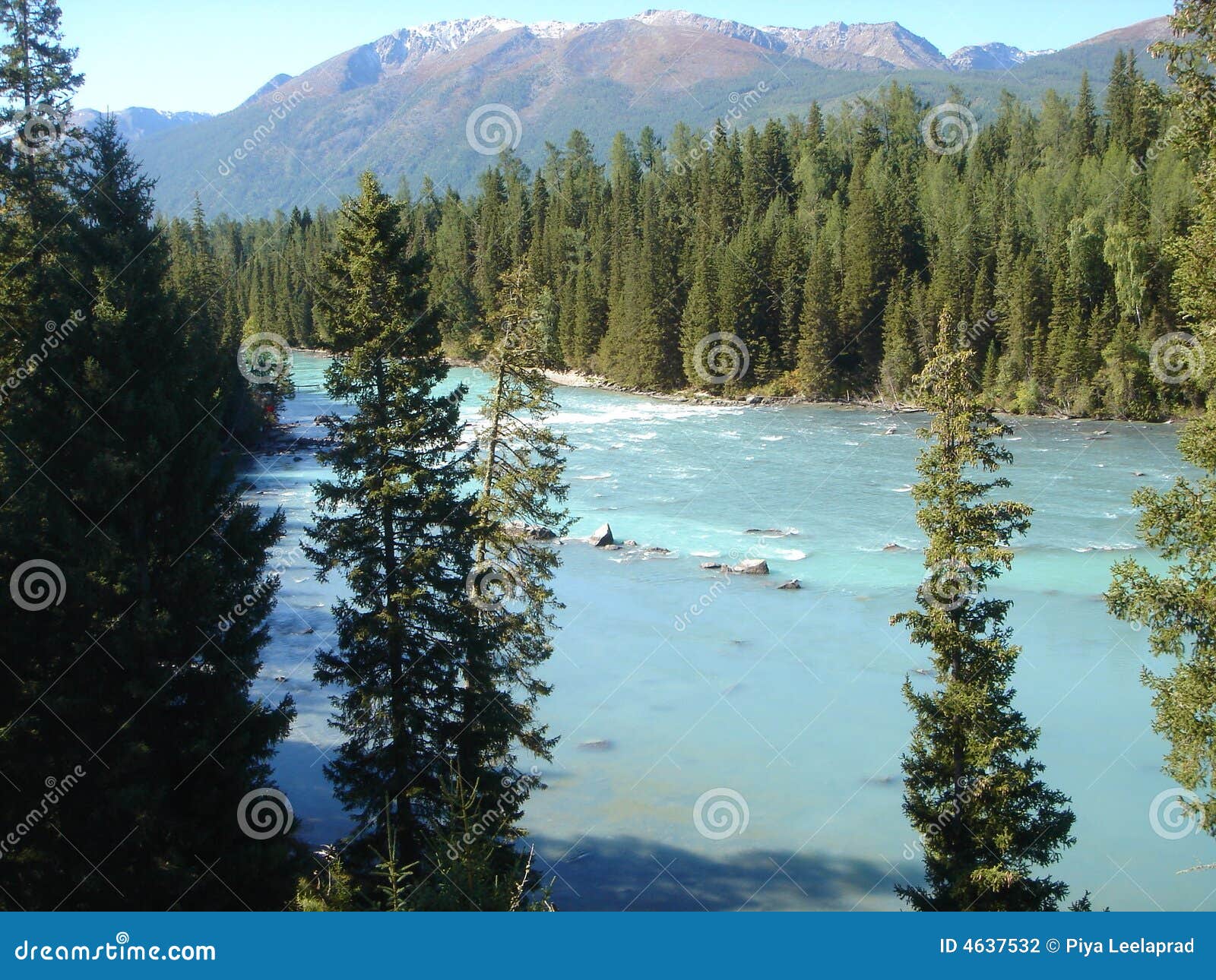 Pure clean river03 stock photo. Image of nature, asia - 4637532