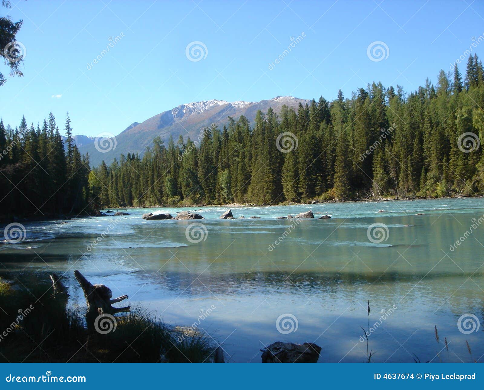 Pure clean river04 stock photo. Image of nature, jiang - 4637674