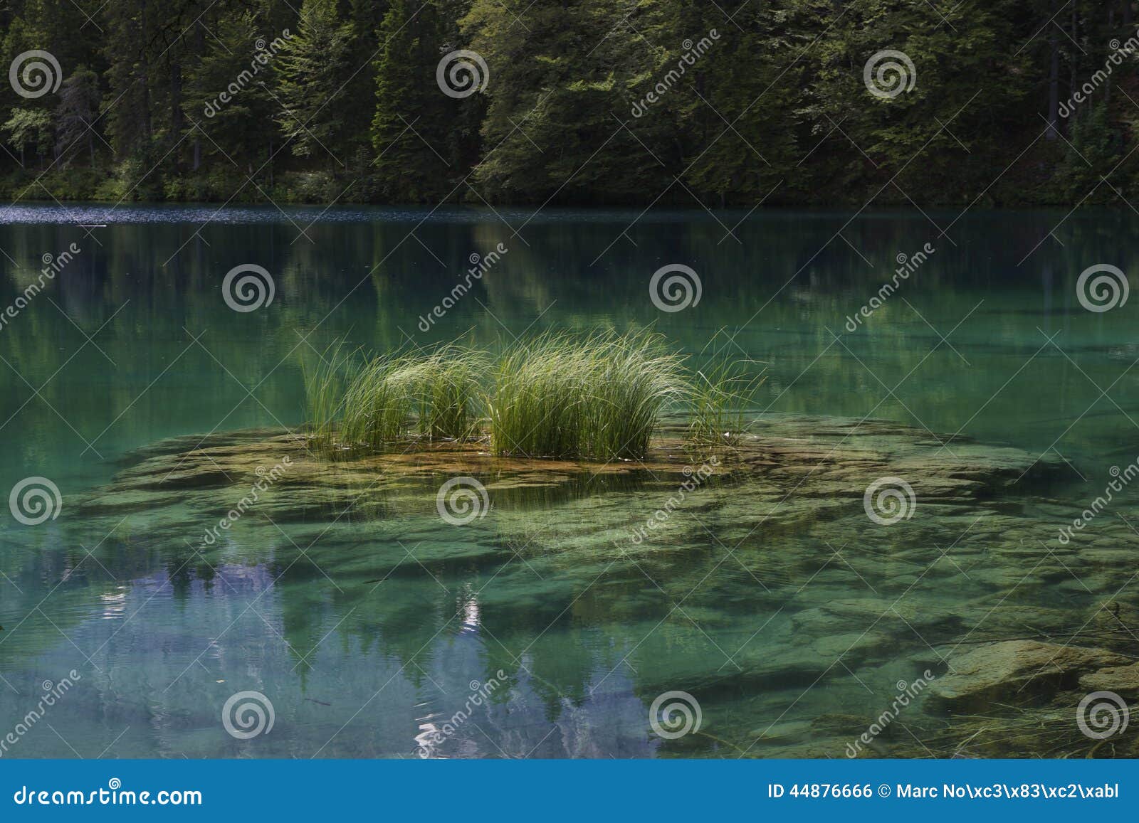 Pure clear water lake stock photo. Image of green, nature - 44876666