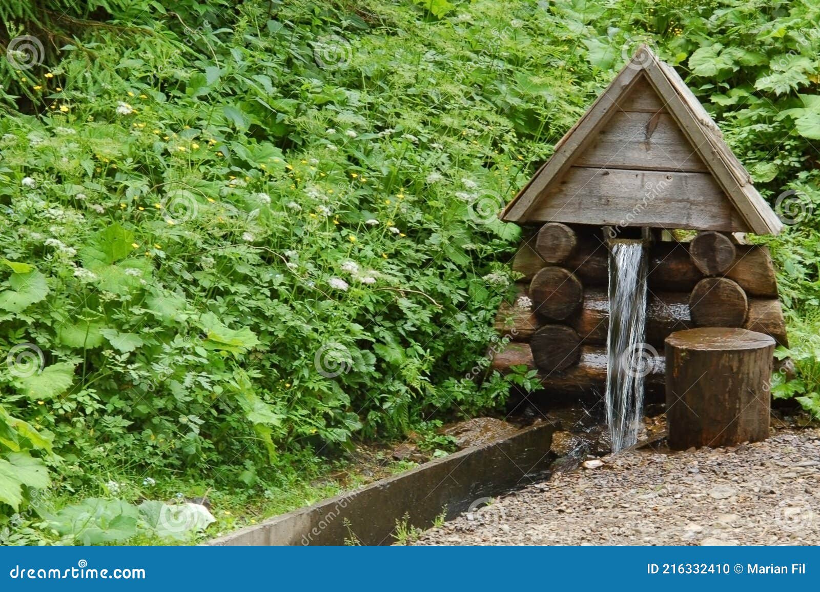 Pure, Cold, Spring Water Flows in the Mountains from the Source in the ...