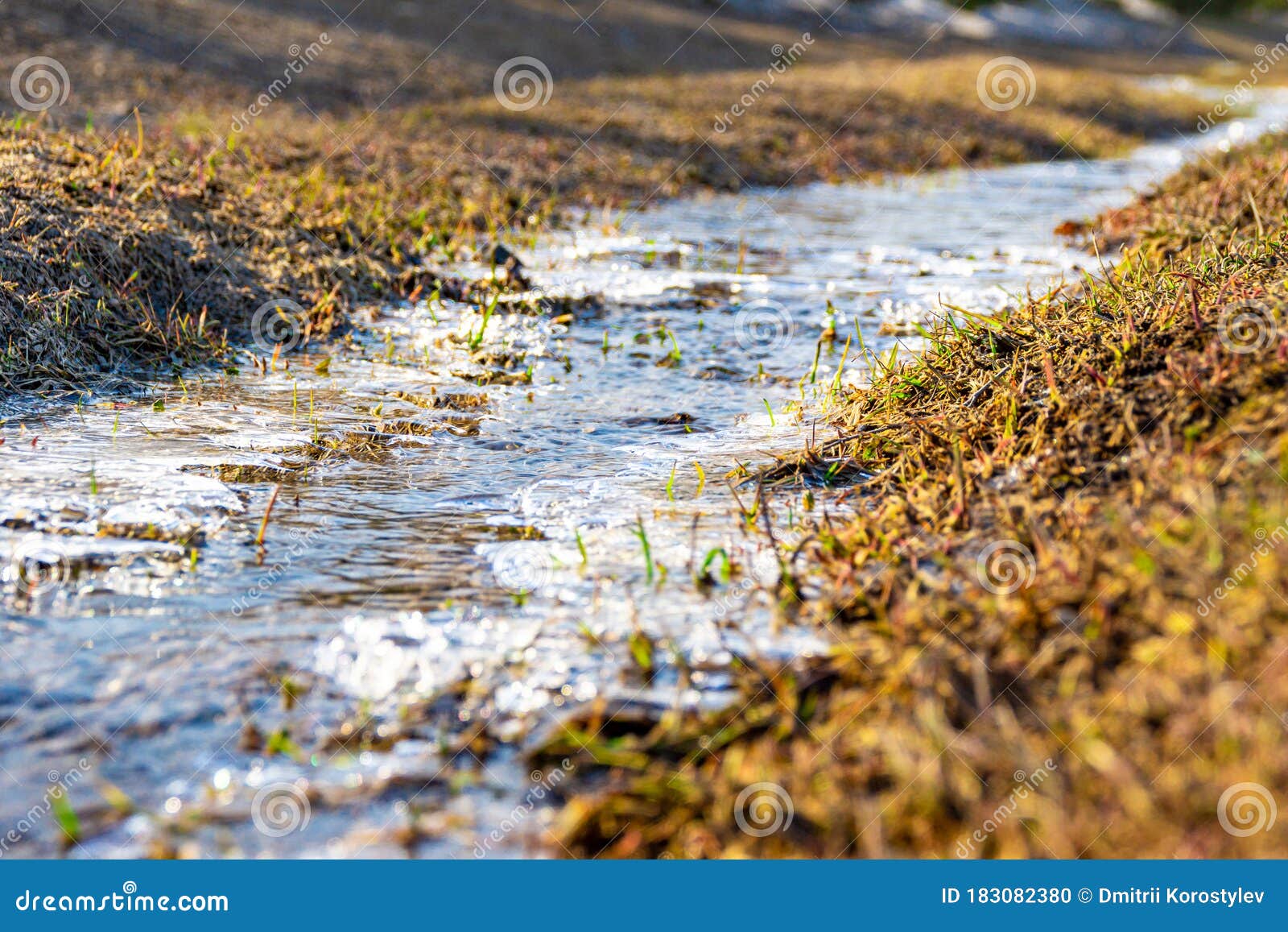 Pure Cold Stream Covered with Thin Ice in the Spring Sunshine ...