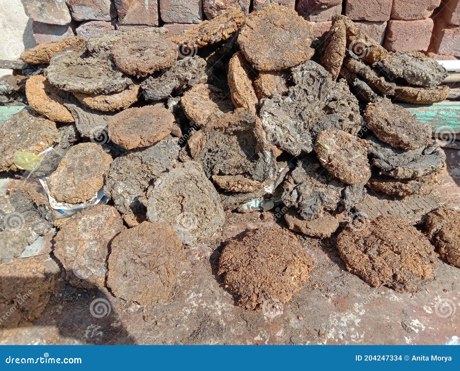 Pure cow dung Cake or uple stock photo. Image of atmosphere - 204247334