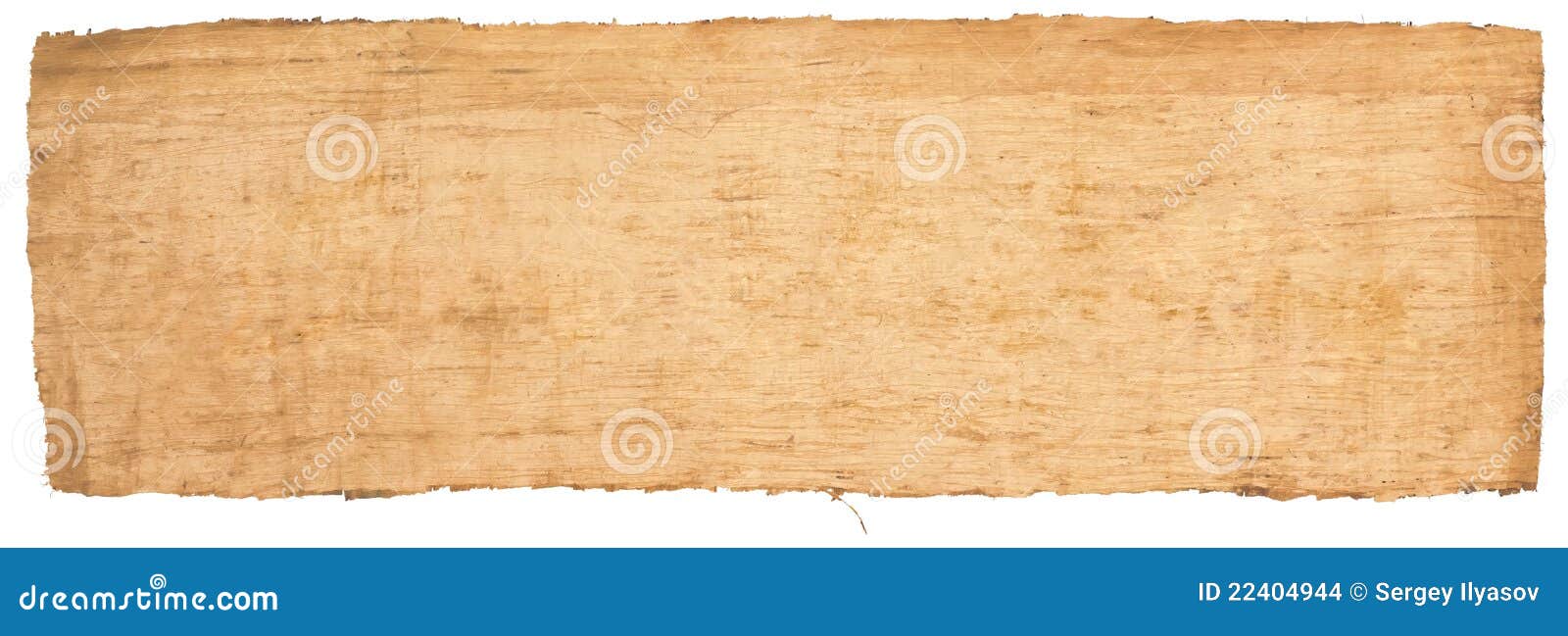 Pure Egyptian papyrus stock photo. Image of history, torn - 22404944
